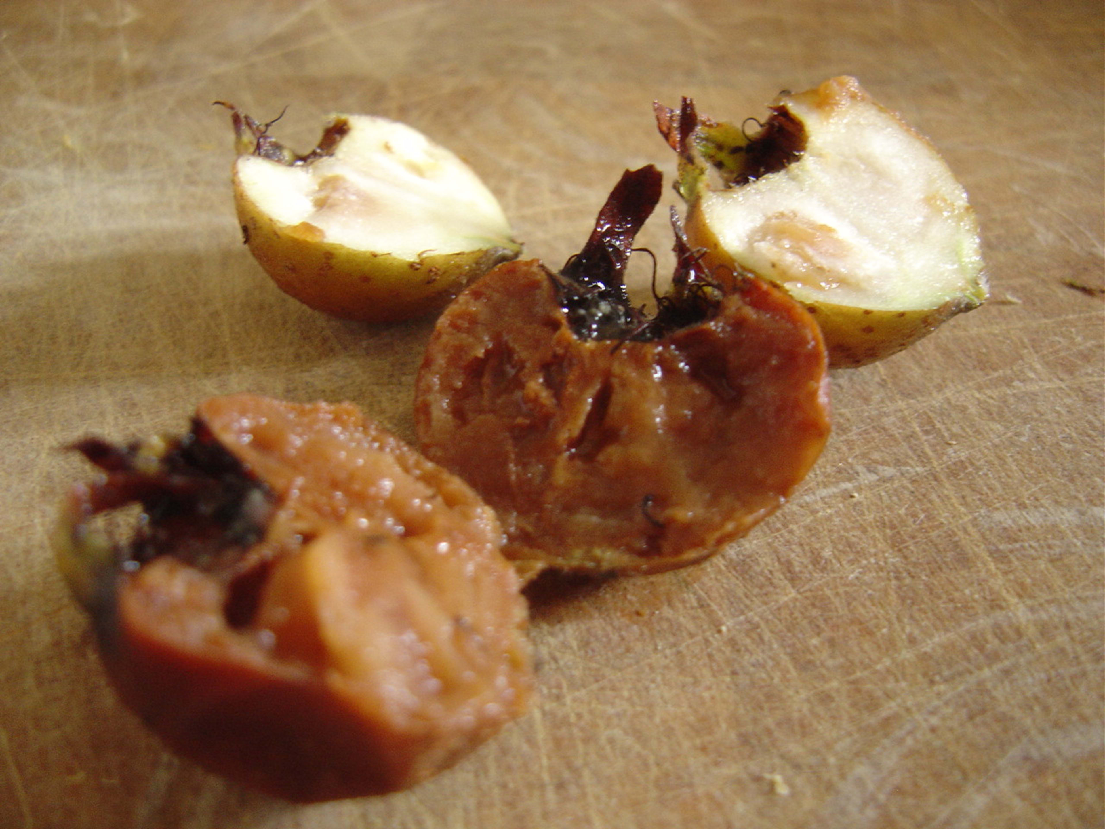 What Is a Medlar Fruit (Musmula) & Where Do They Come From? - Dengarden
