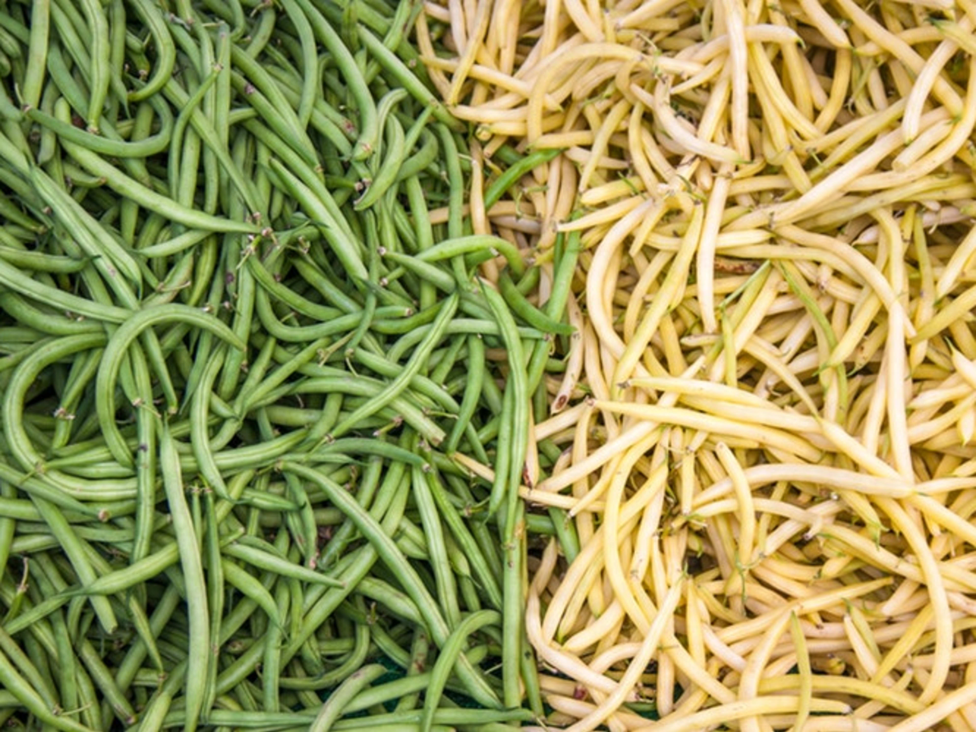 Grow Green Beans From Seed - Dengarden