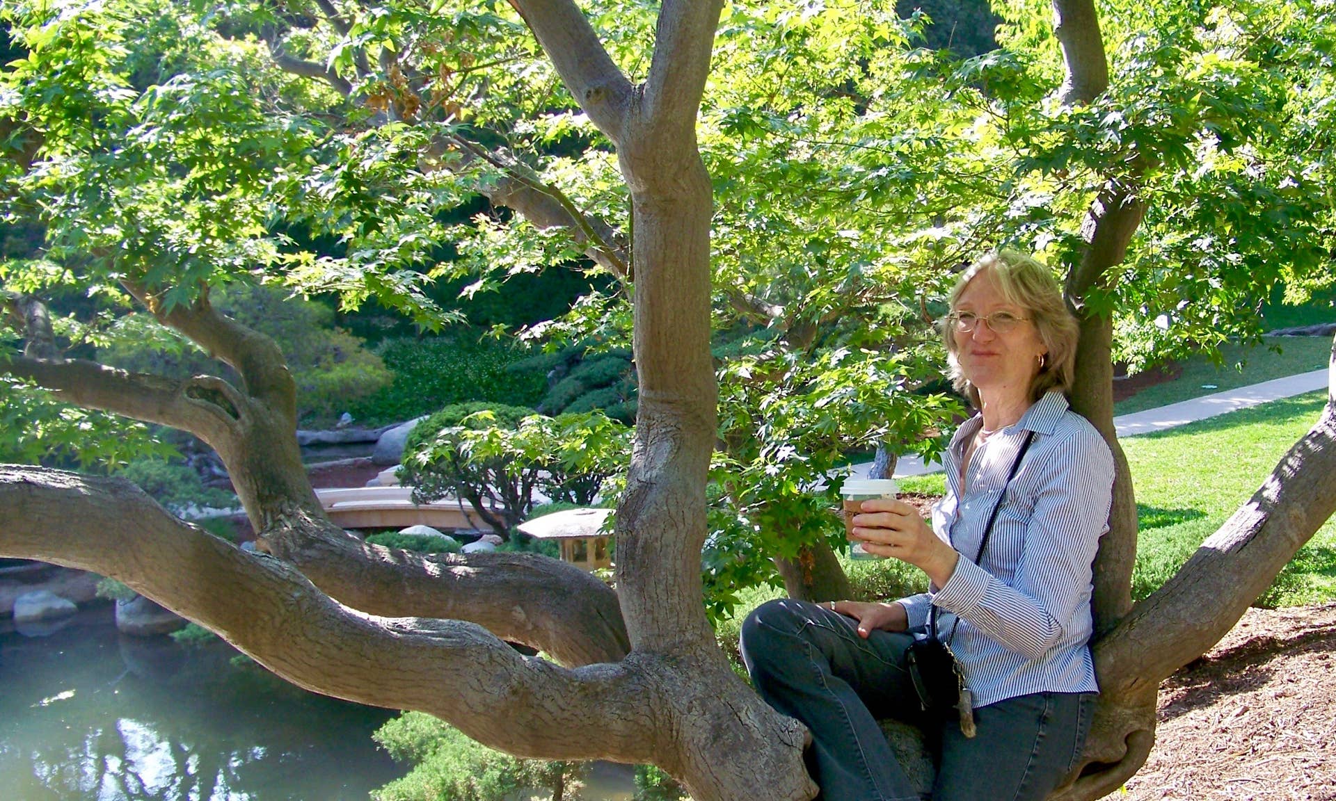 Pretty Trees For Your Yard Best Shade Trees To Plant In Jacksonville