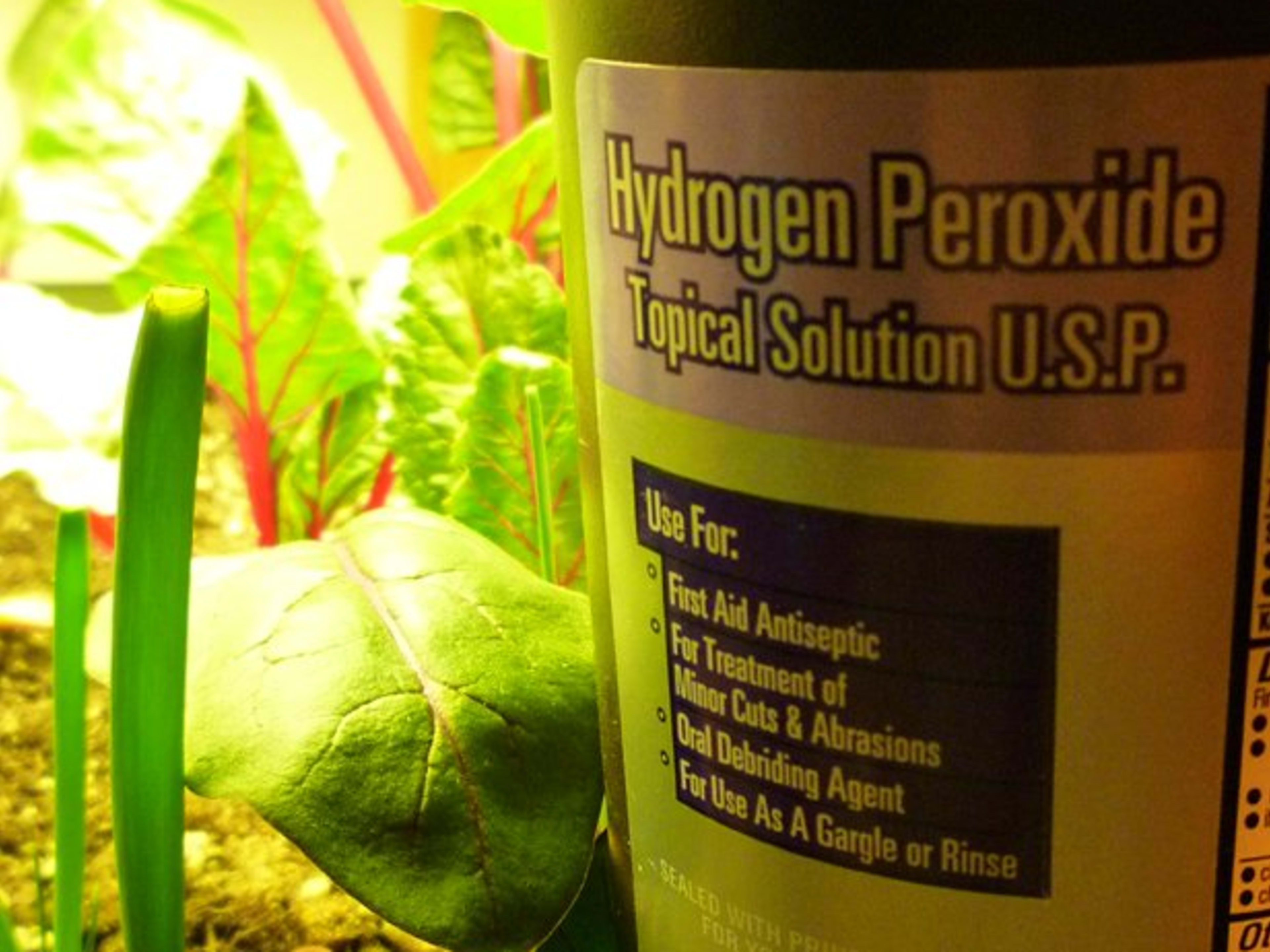Hydrogen Peroxide for Plants - Dengarden