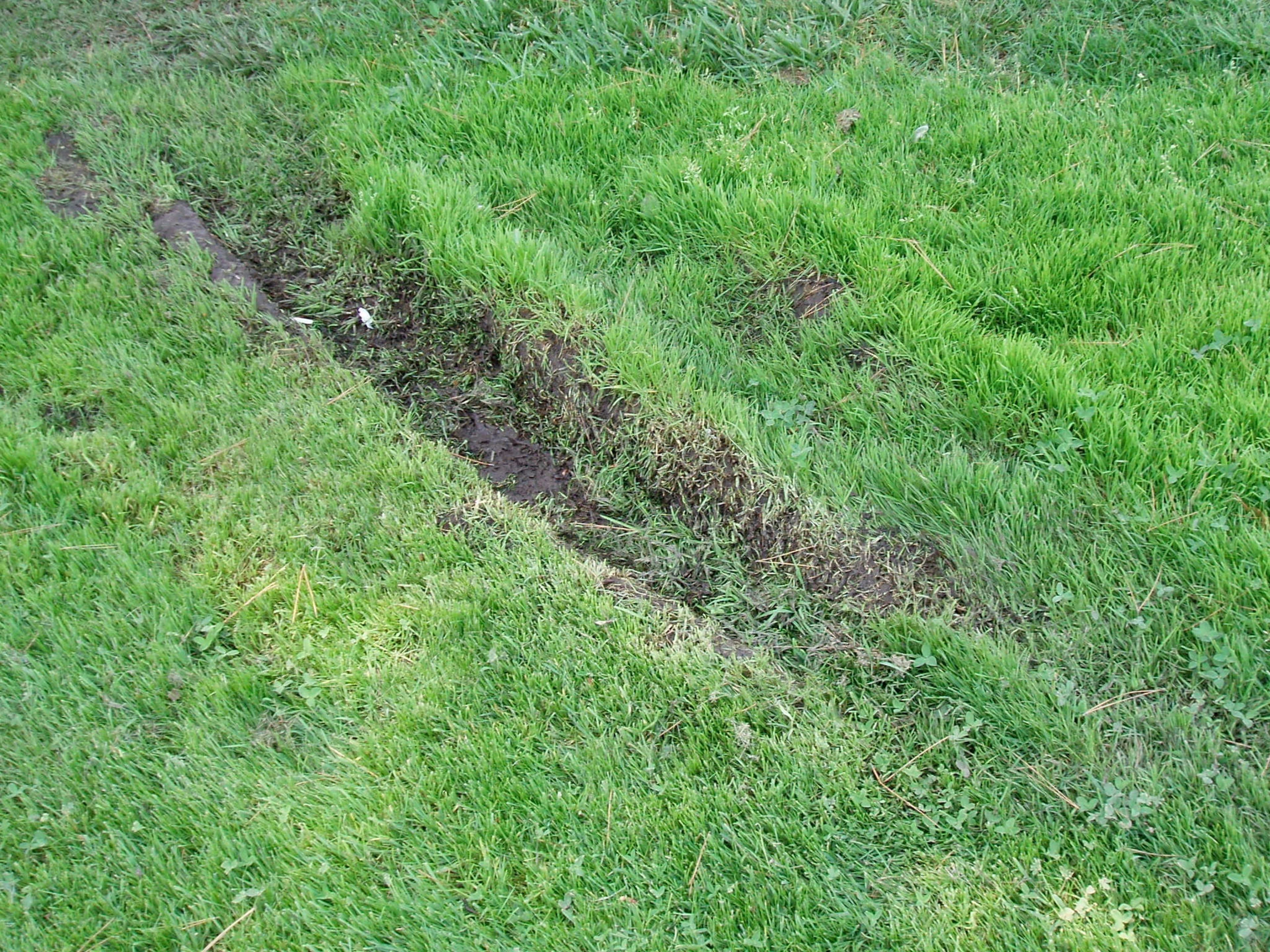 How to Detect a Water Leak in the Irrigation System - Dengarden