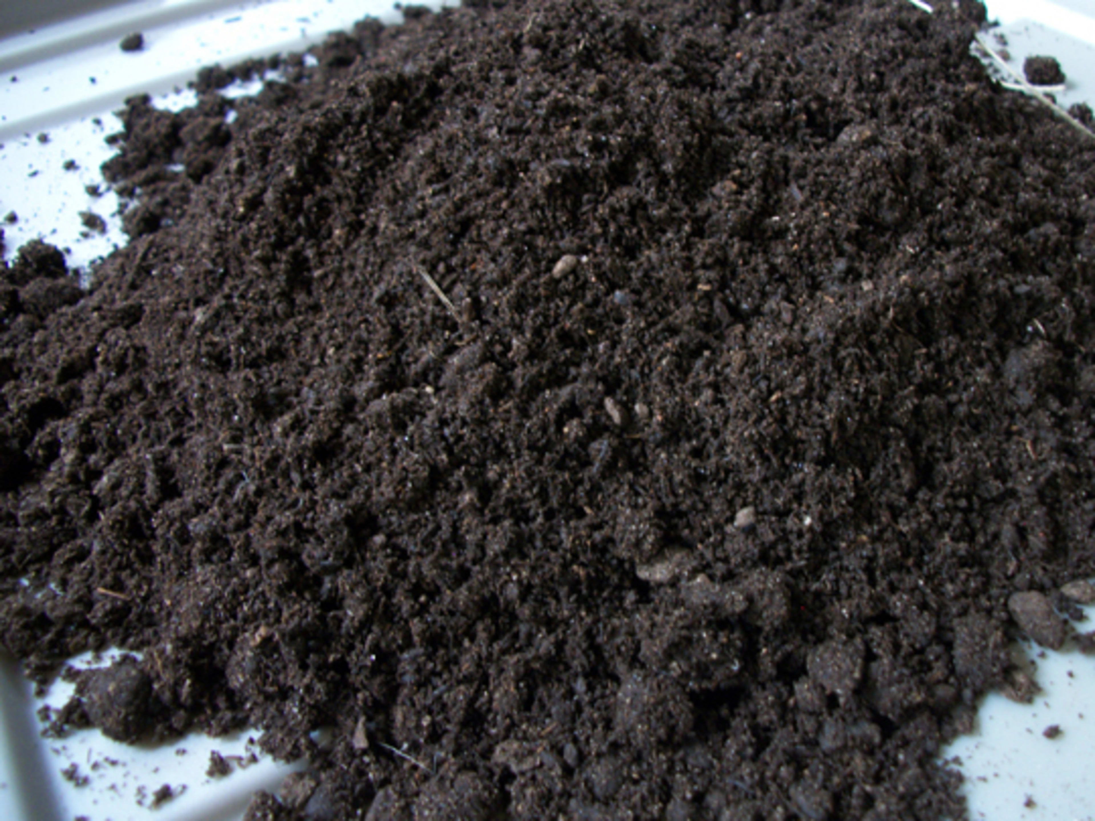 How to Brew and Use Compost Tea - Dengarden