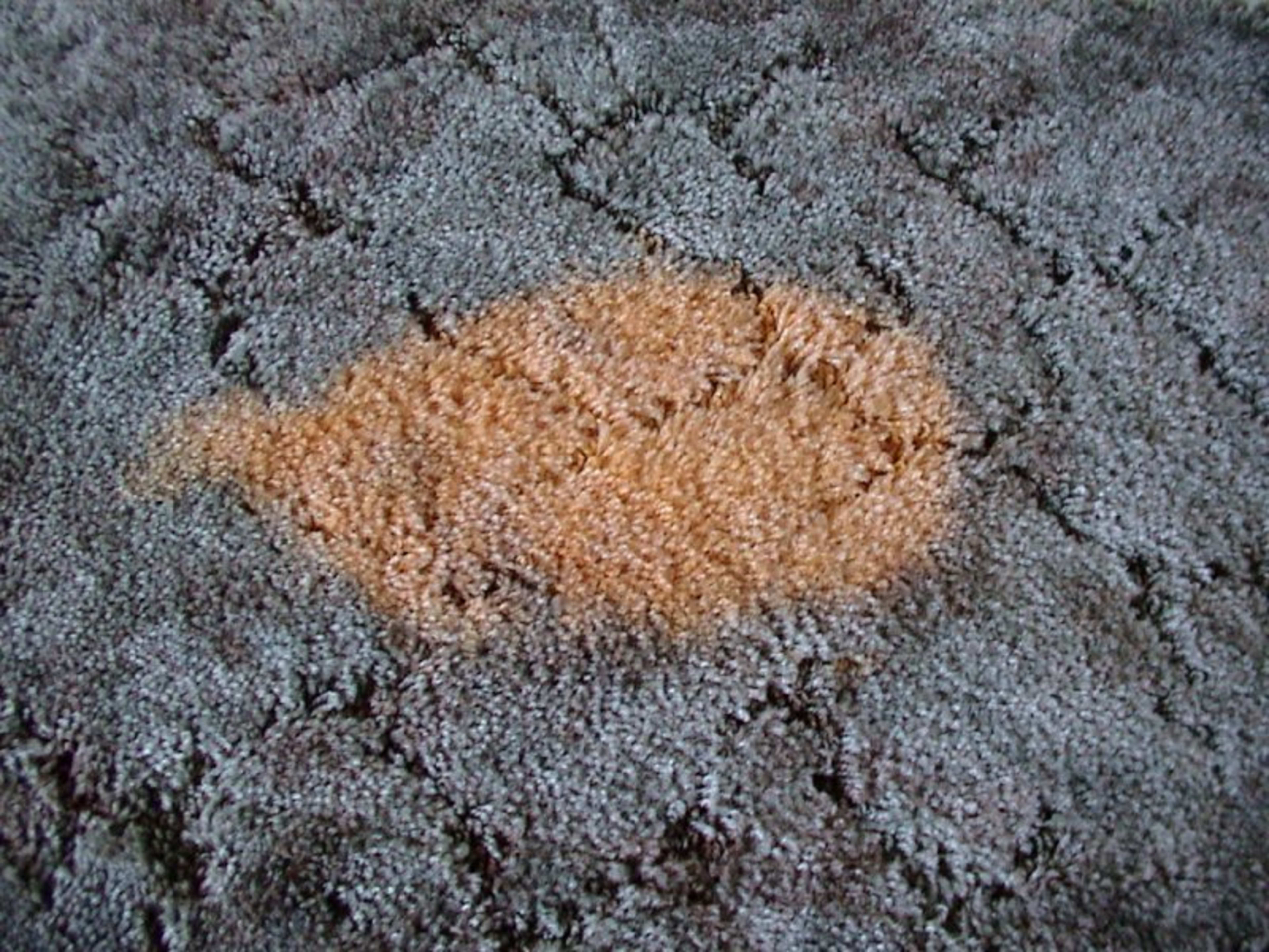 How to Get Bleach Spots Out of Carpeting Fast