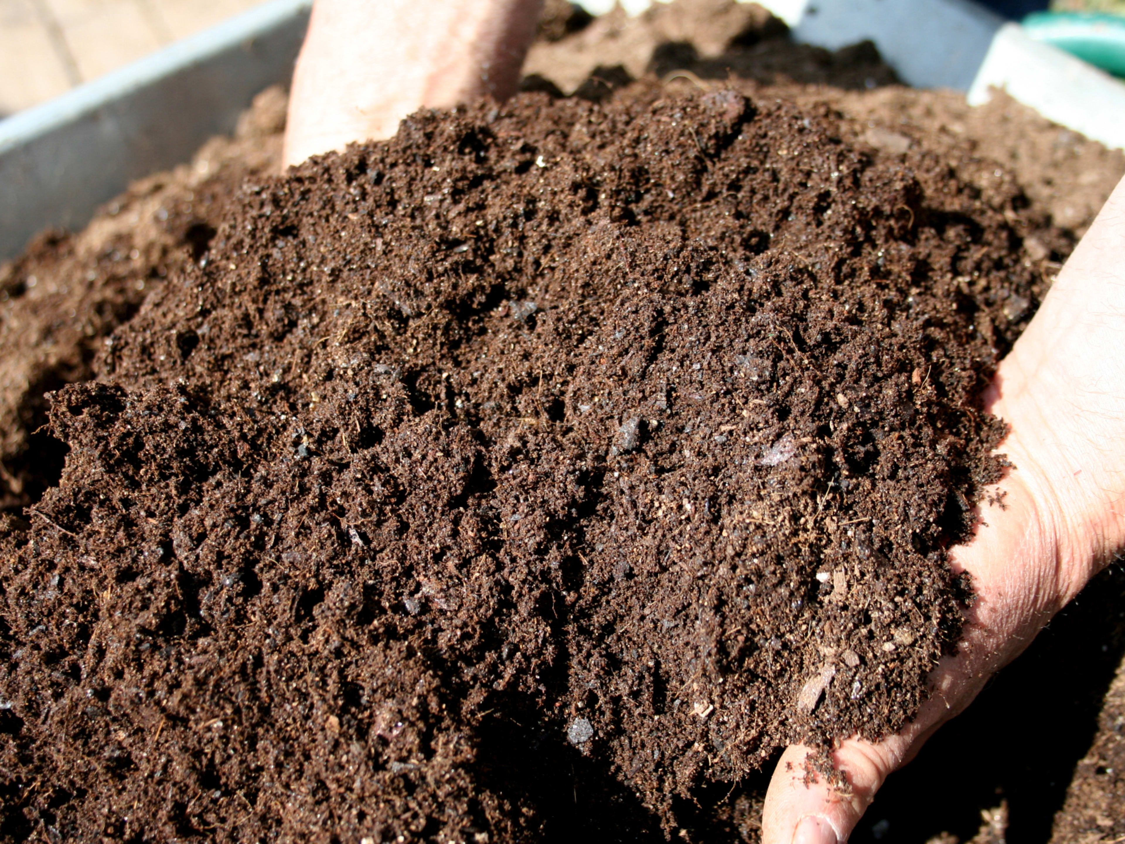 How to Build Your Own Compost Bin and Make Compost at Home: A Practical ...