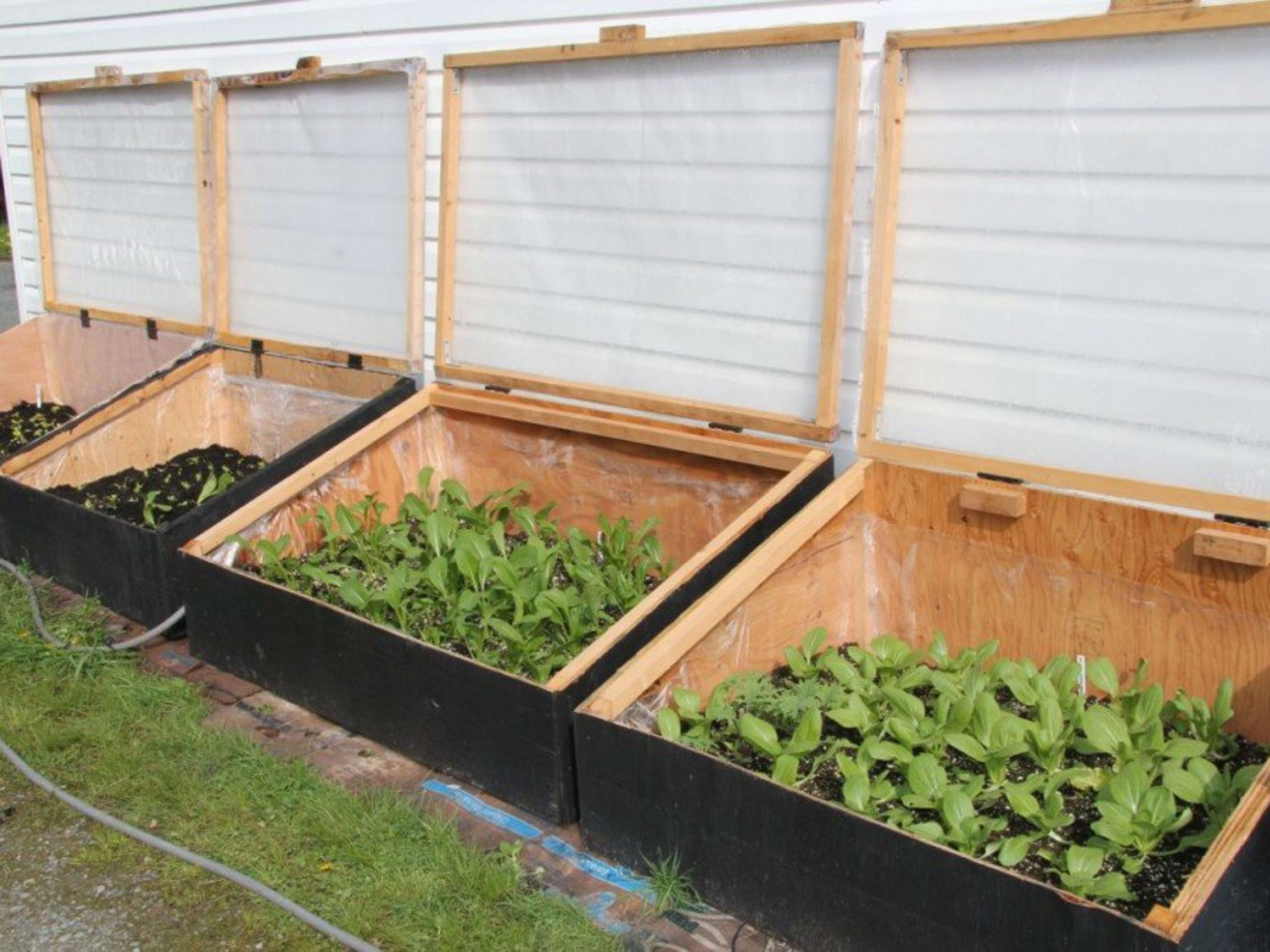 How to Build Cold Frames for a Raised Garden Bed - Dengarden