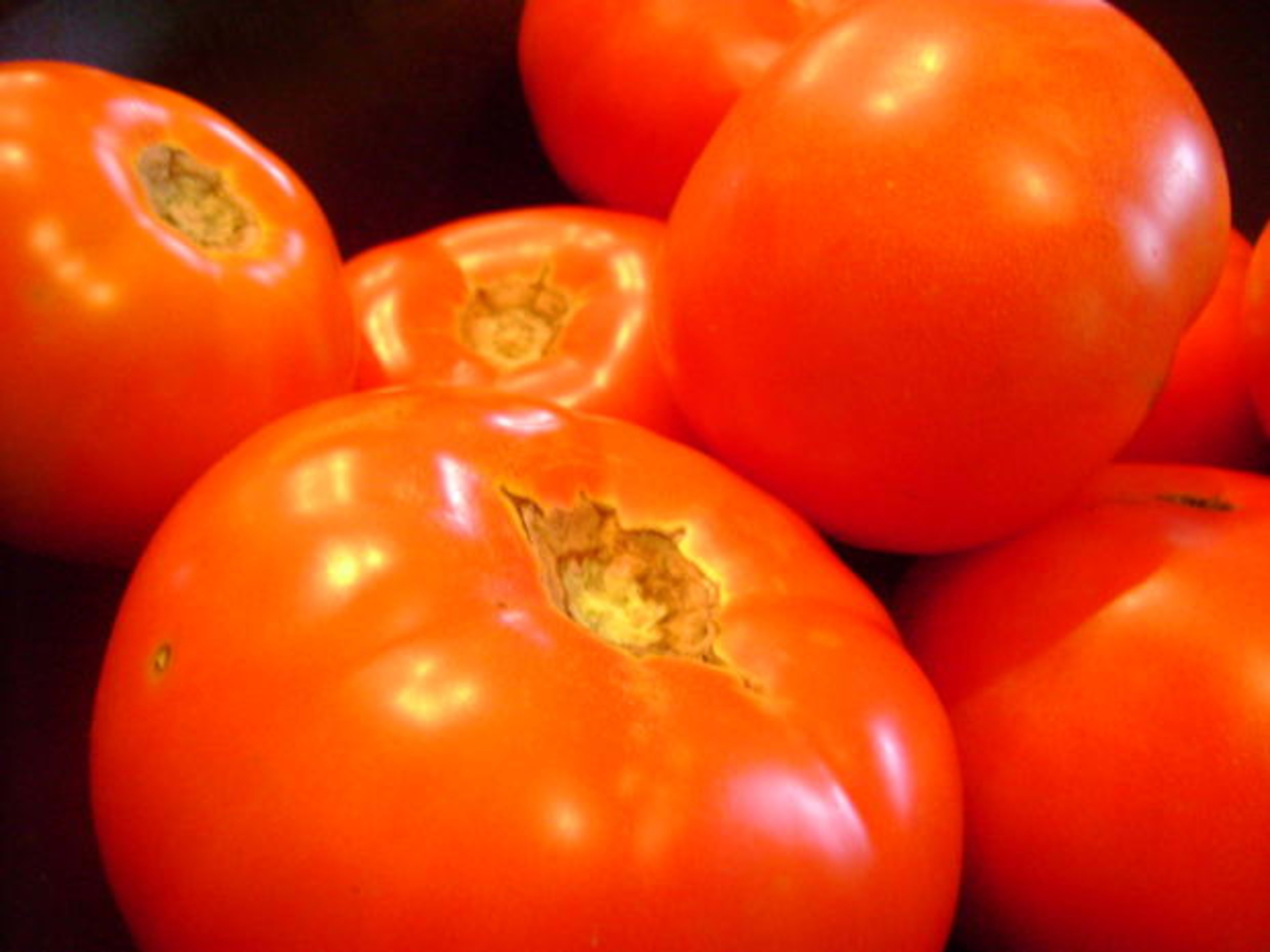 How to Get Lots of Tomatoes Per Plant