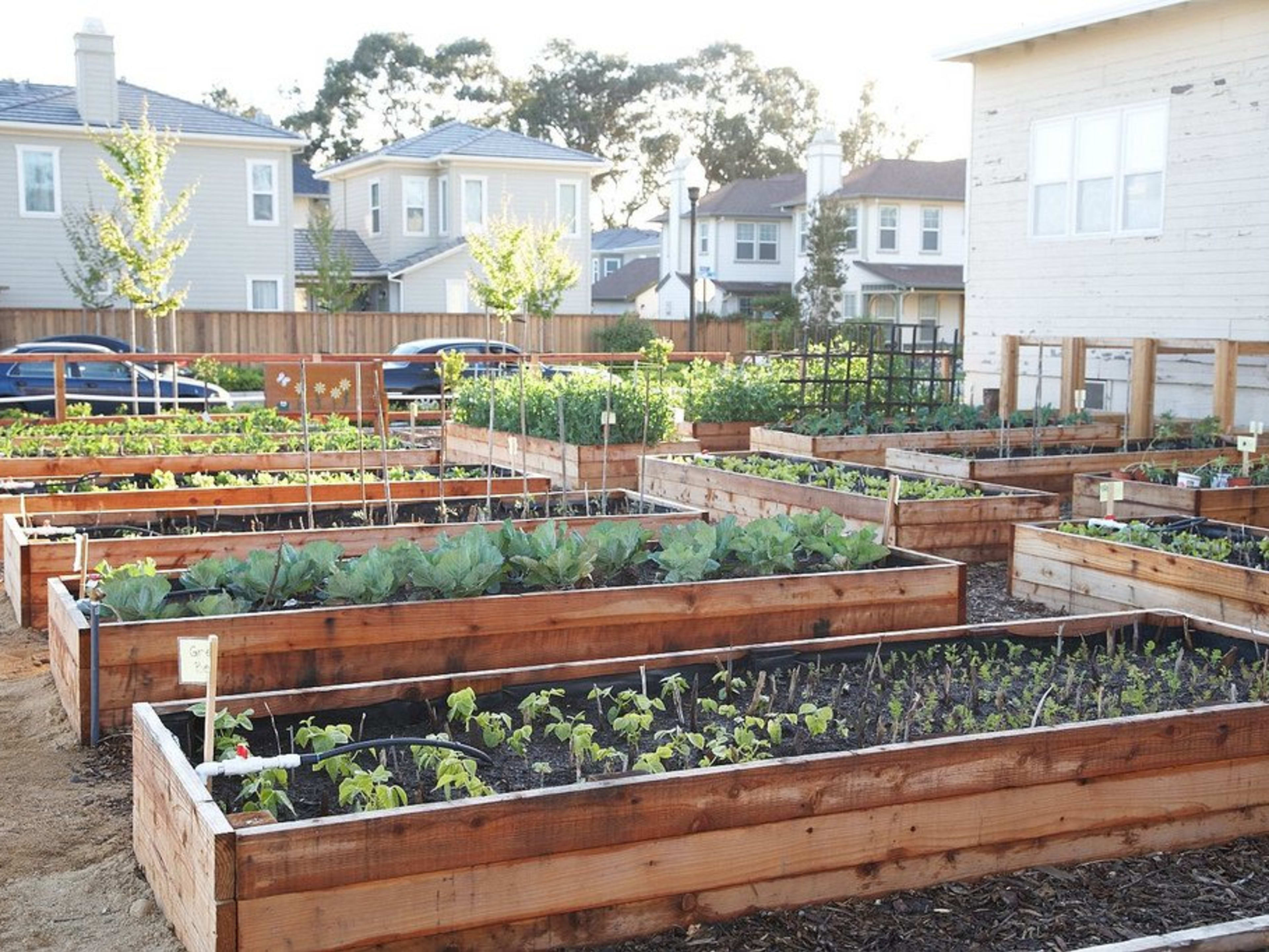 How to Build a Raised Garden Bed: Cheap Prefab Kits & DIY Plans