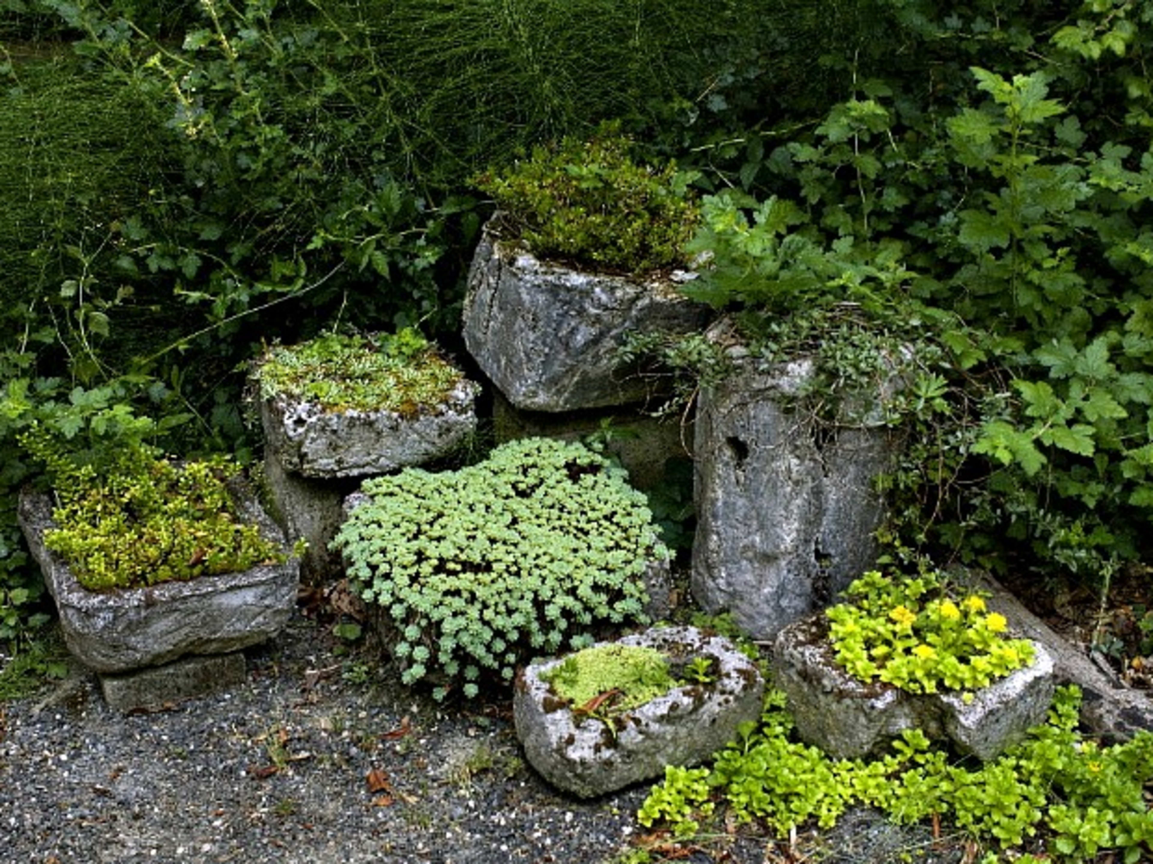 How to Make Hypertufa Garden Planters and Containers - Dengarden