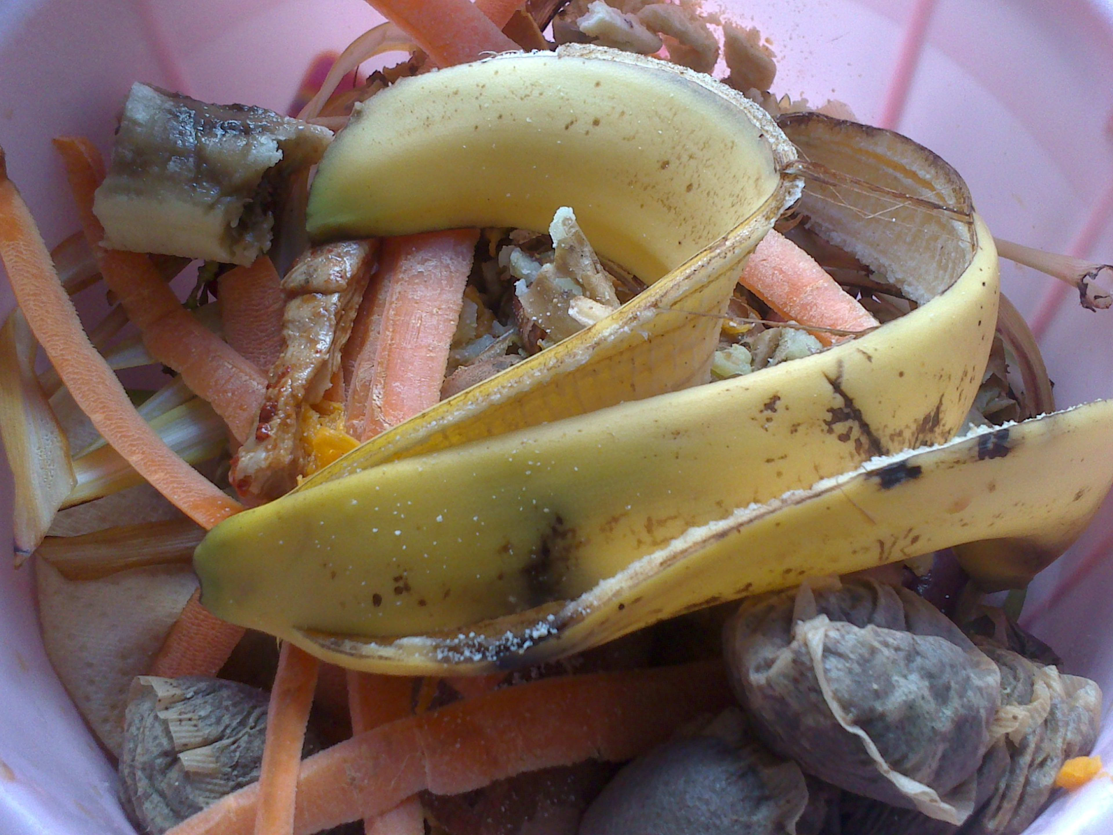 How to Fix Slimy Compost and Stop It From Turning to Sludge