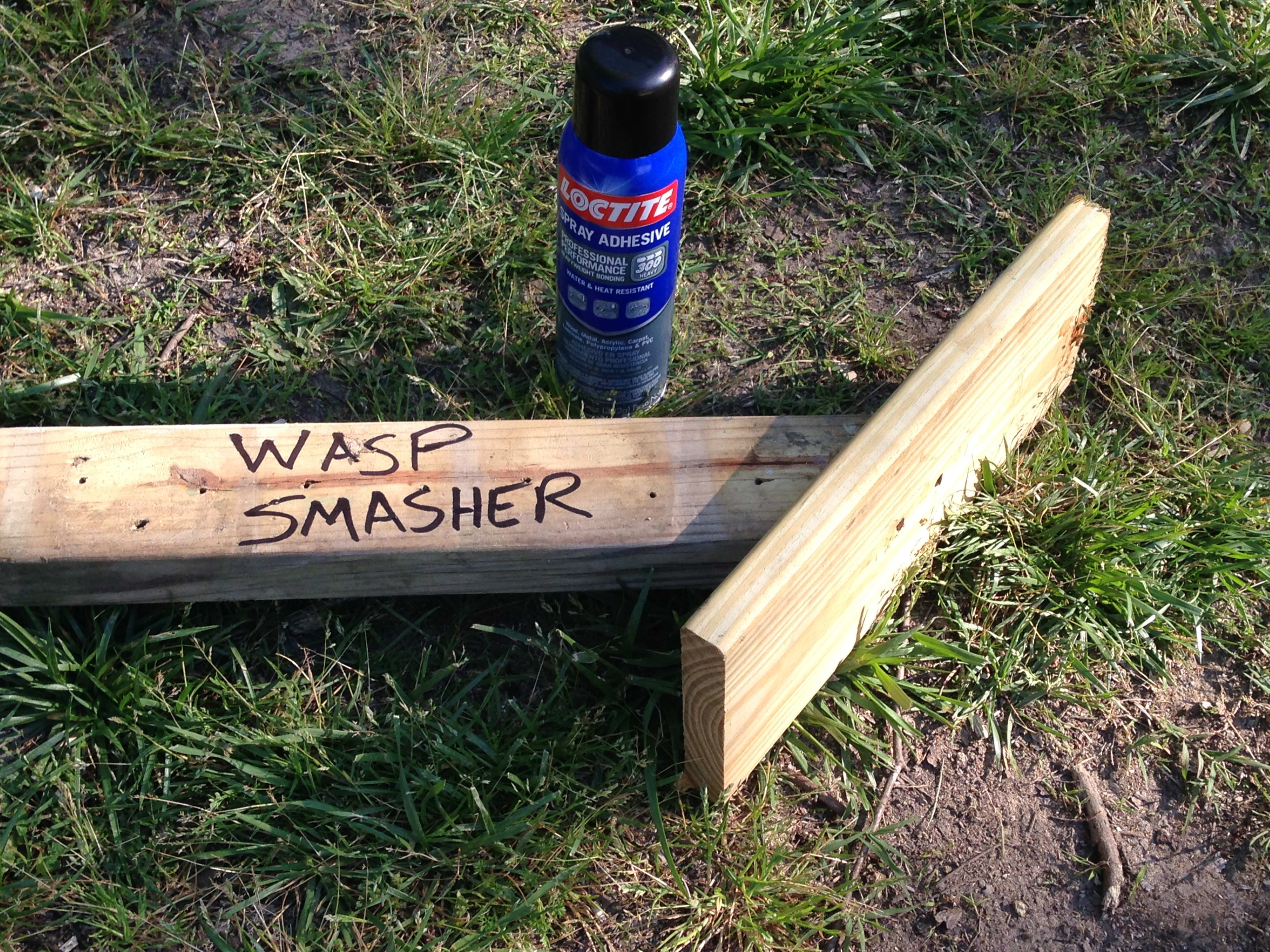 My 2 New Favorite Ways to Get Rid of Wasp Nests - Dengarden