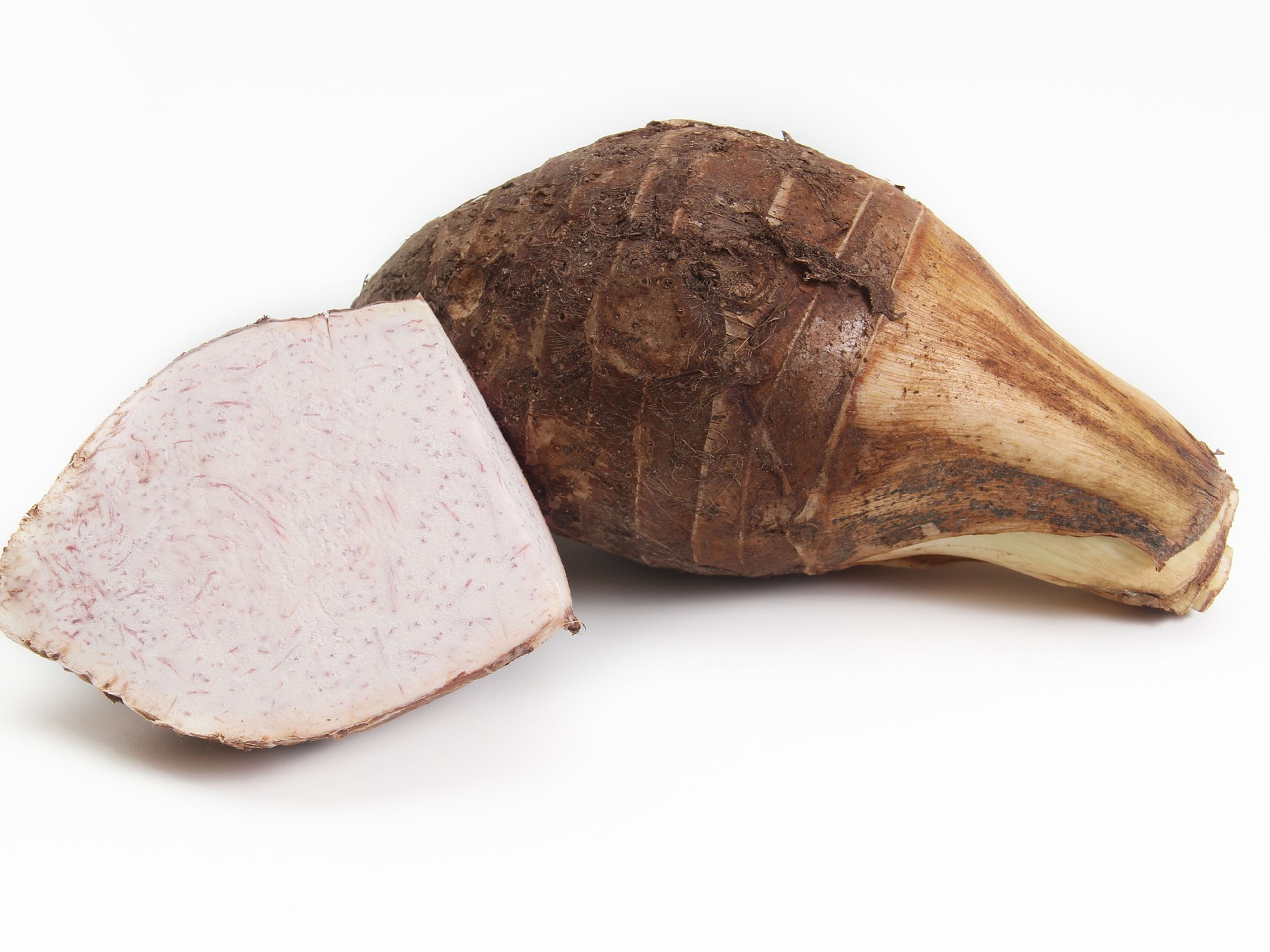 How to Store Bulbs, Corms and Tubers for the Winter