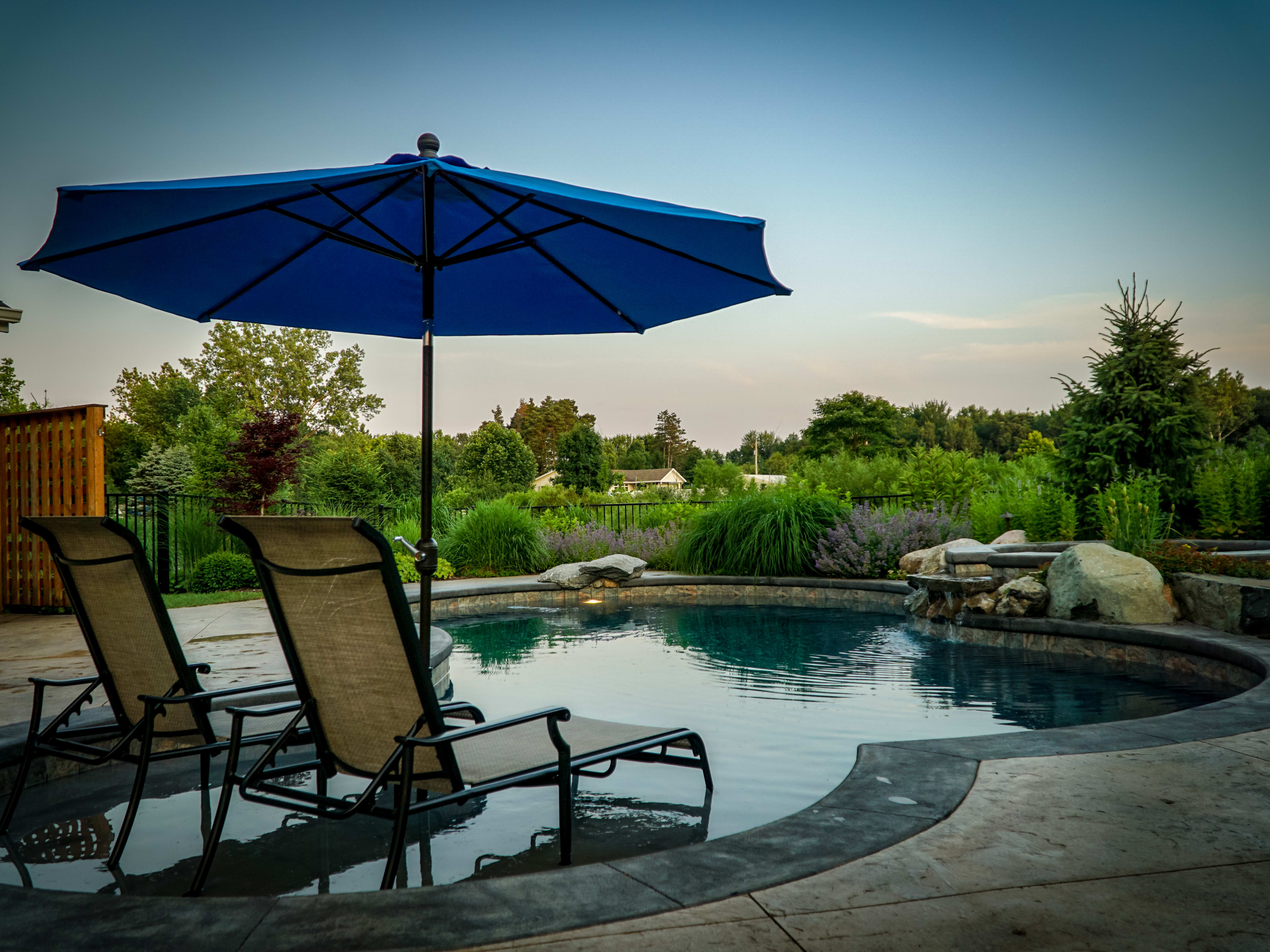 Great Plant Ideas for Your Poolside Landscape Design - Dengarden