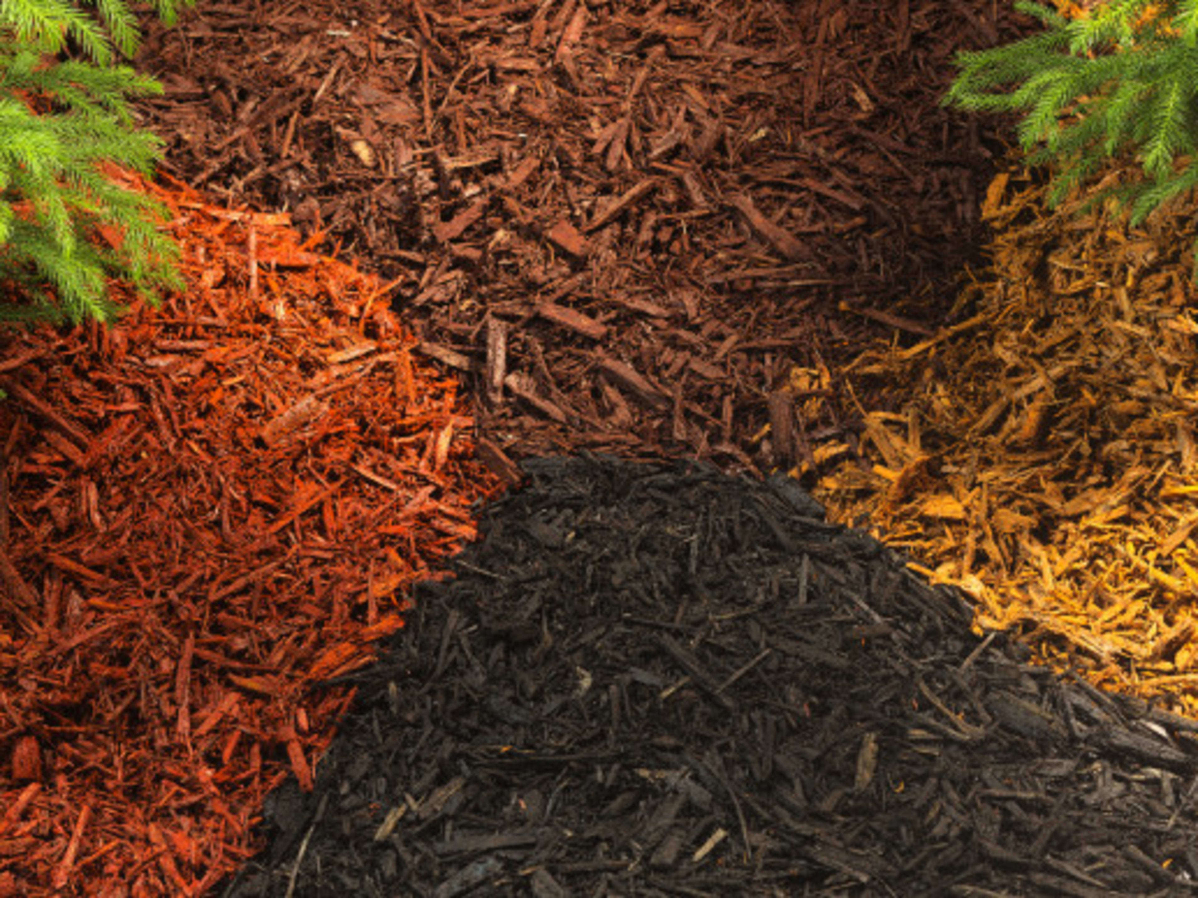 Best mulch store