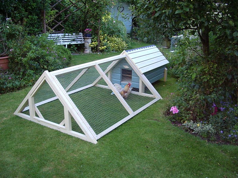 Chicken Tractor Movable Fence Yards DIY Movable Chicken Coop Plans PDF