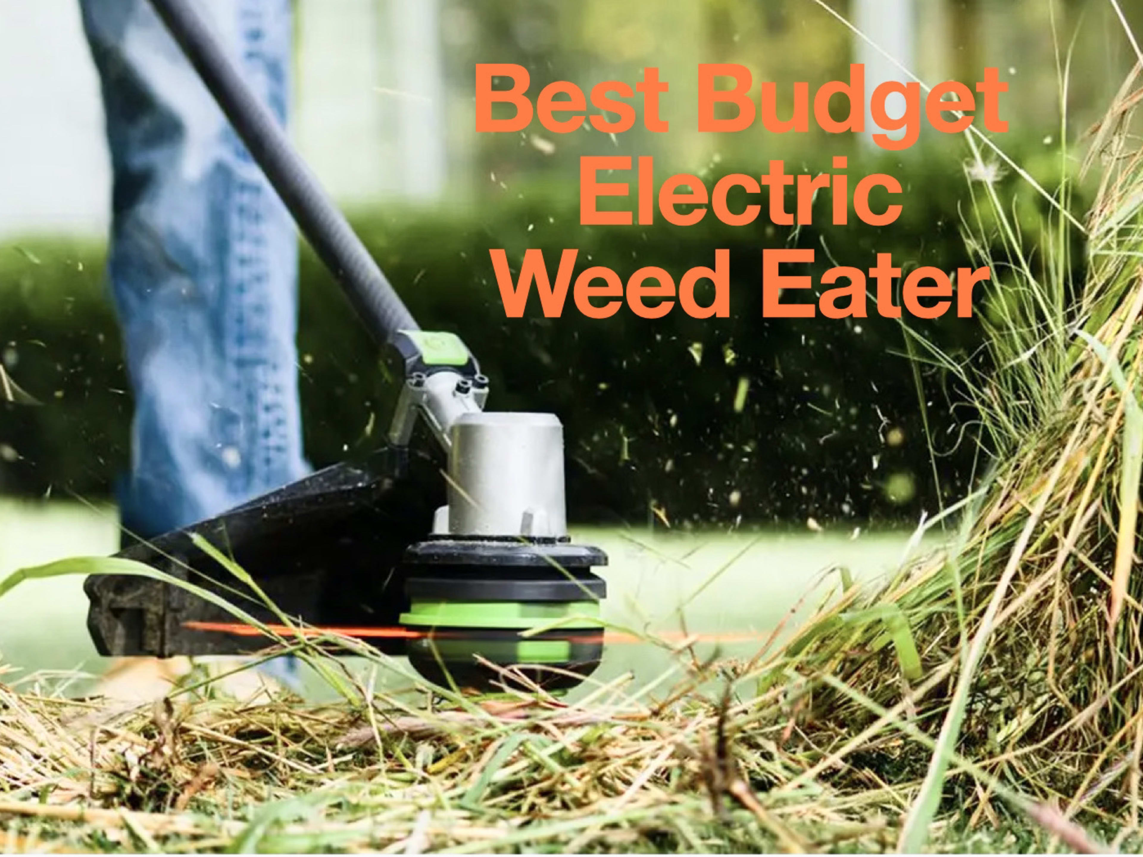 The Three Best Budget Electric Weed Eaters for Your Yard - Dengarden