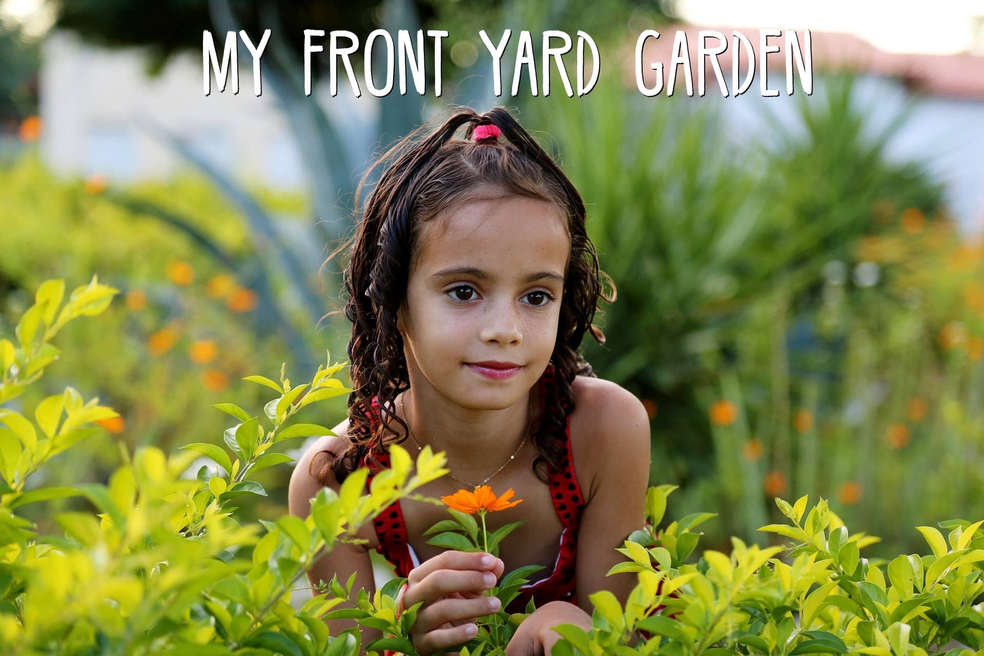 The Anti-Lawn Movement: 10 Reasons to Start a Wild Lawn Garden - Dengarden