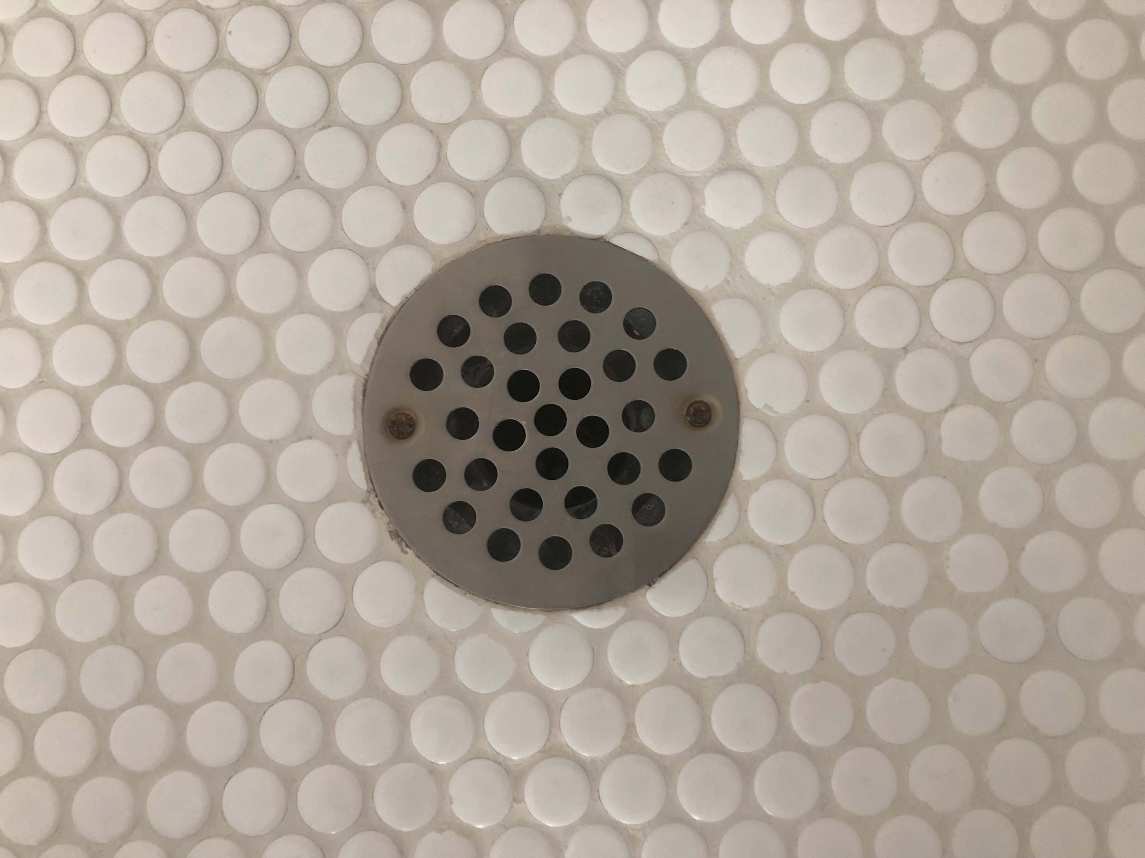 How to Unclog a Shower Drain: 8 Methods - Dengarden