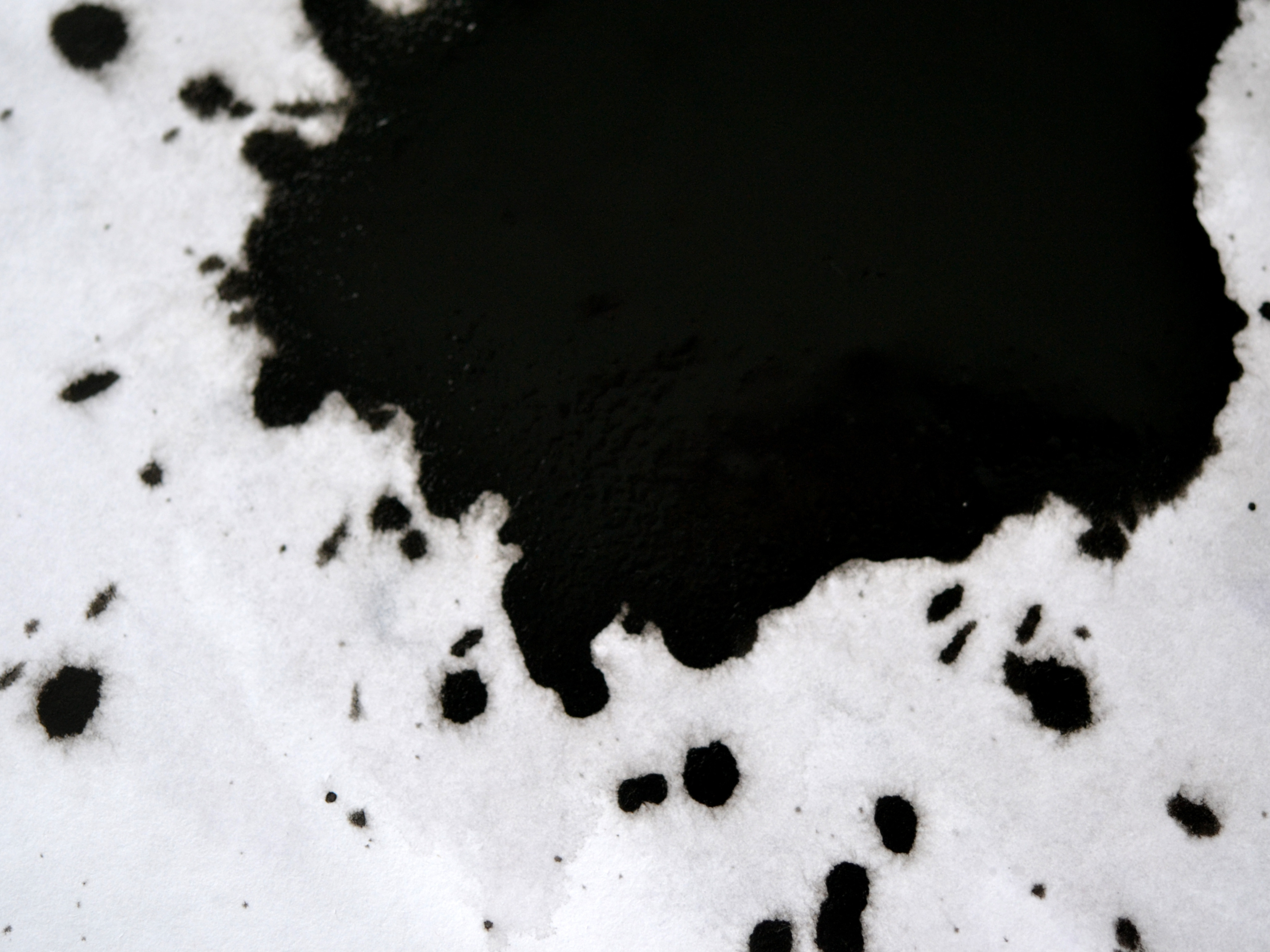 Ink stains store