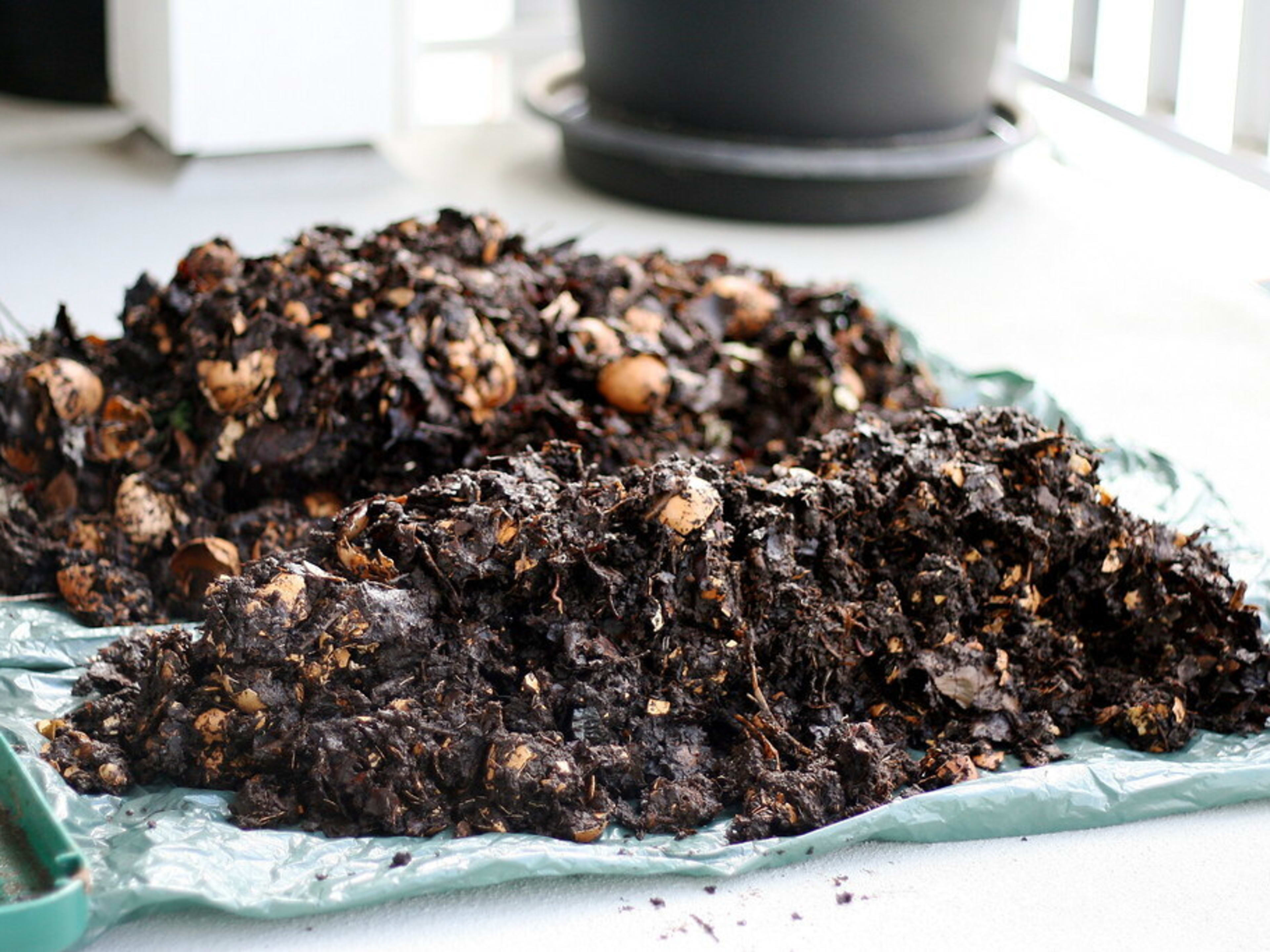 How to Revive and Restart an Old Compost Pile