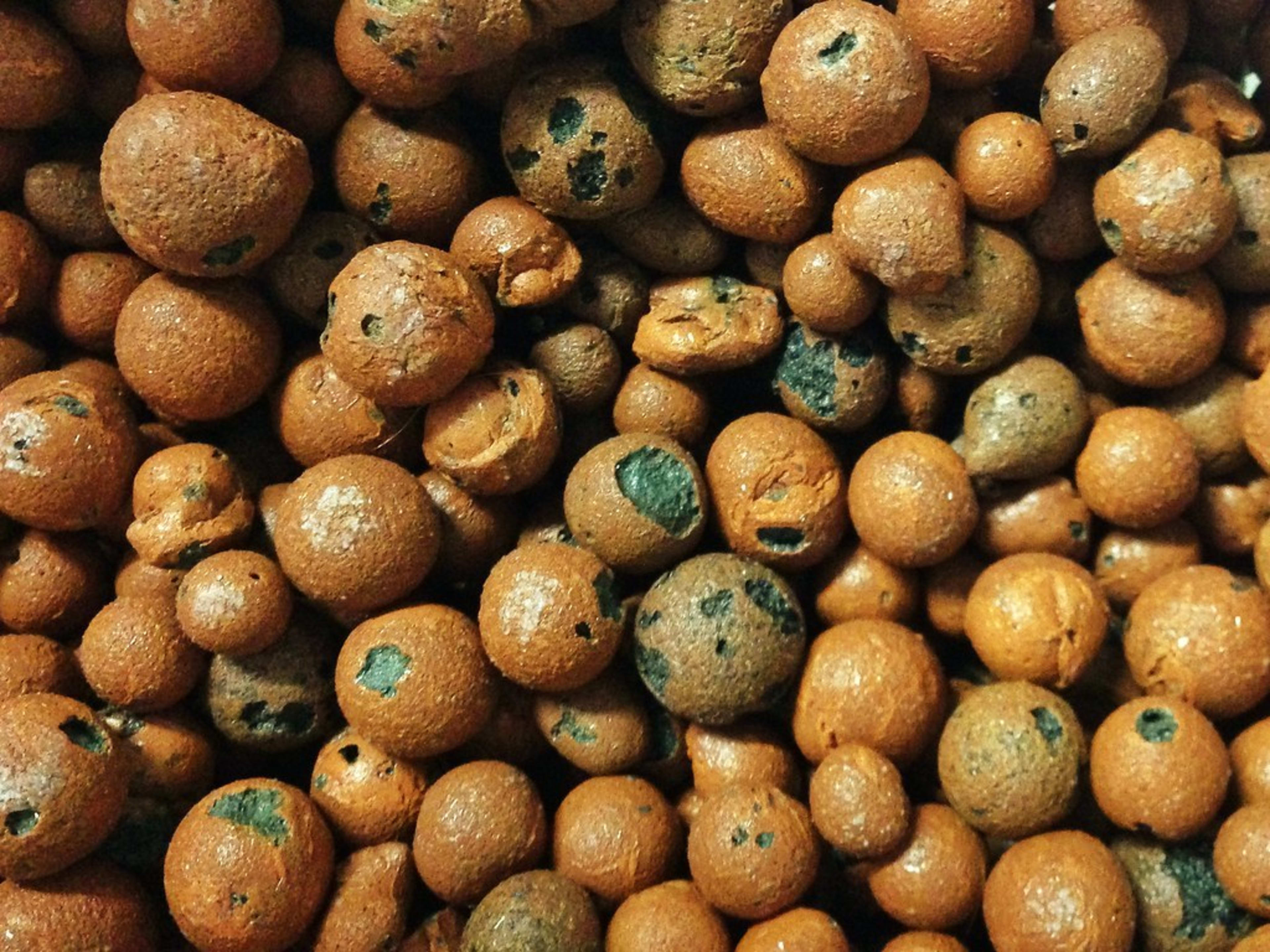 What Is Hydroton? A Versatile Plant-Growing Medium