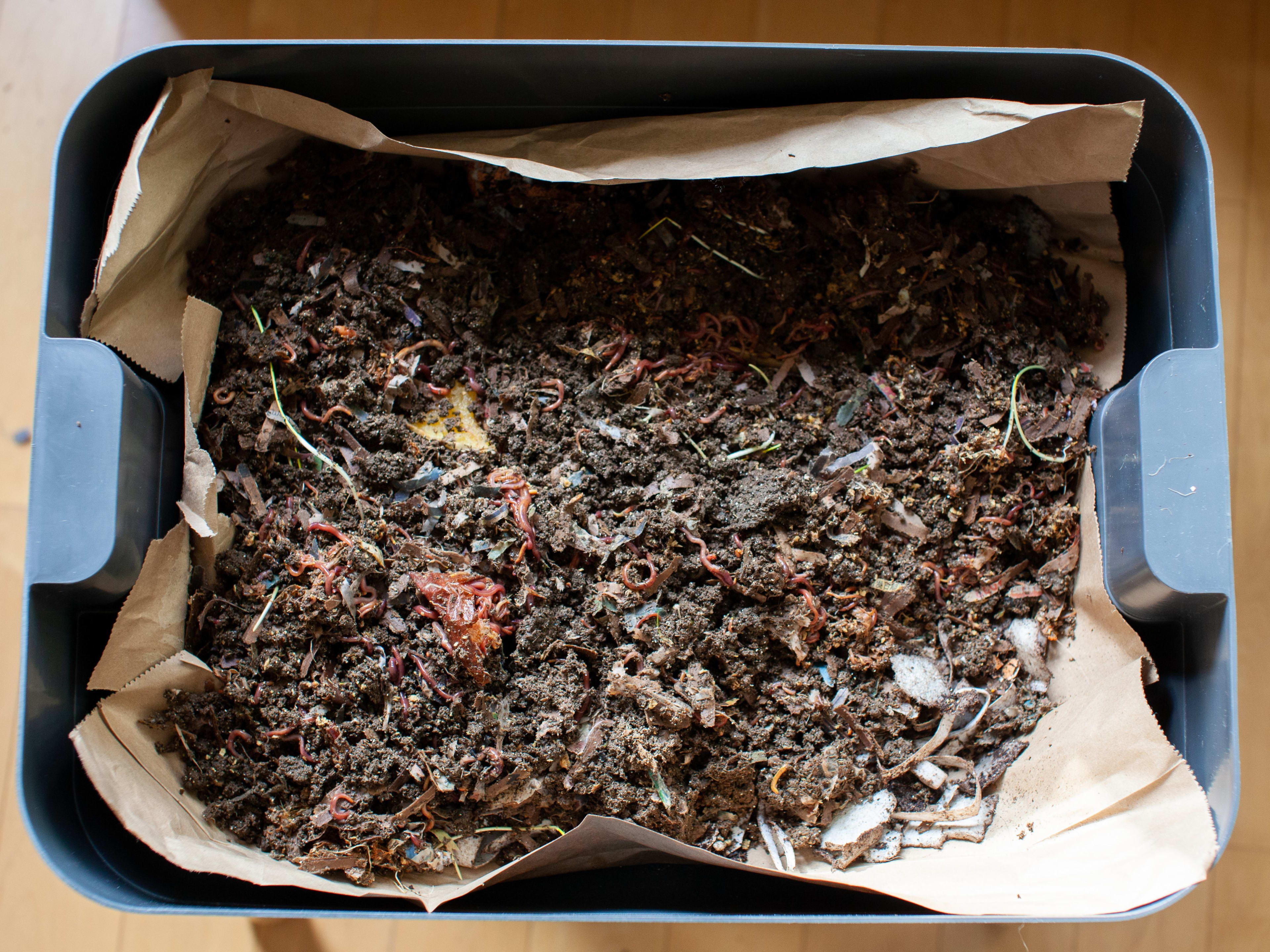 Composting and Vermiculture - Dengarden