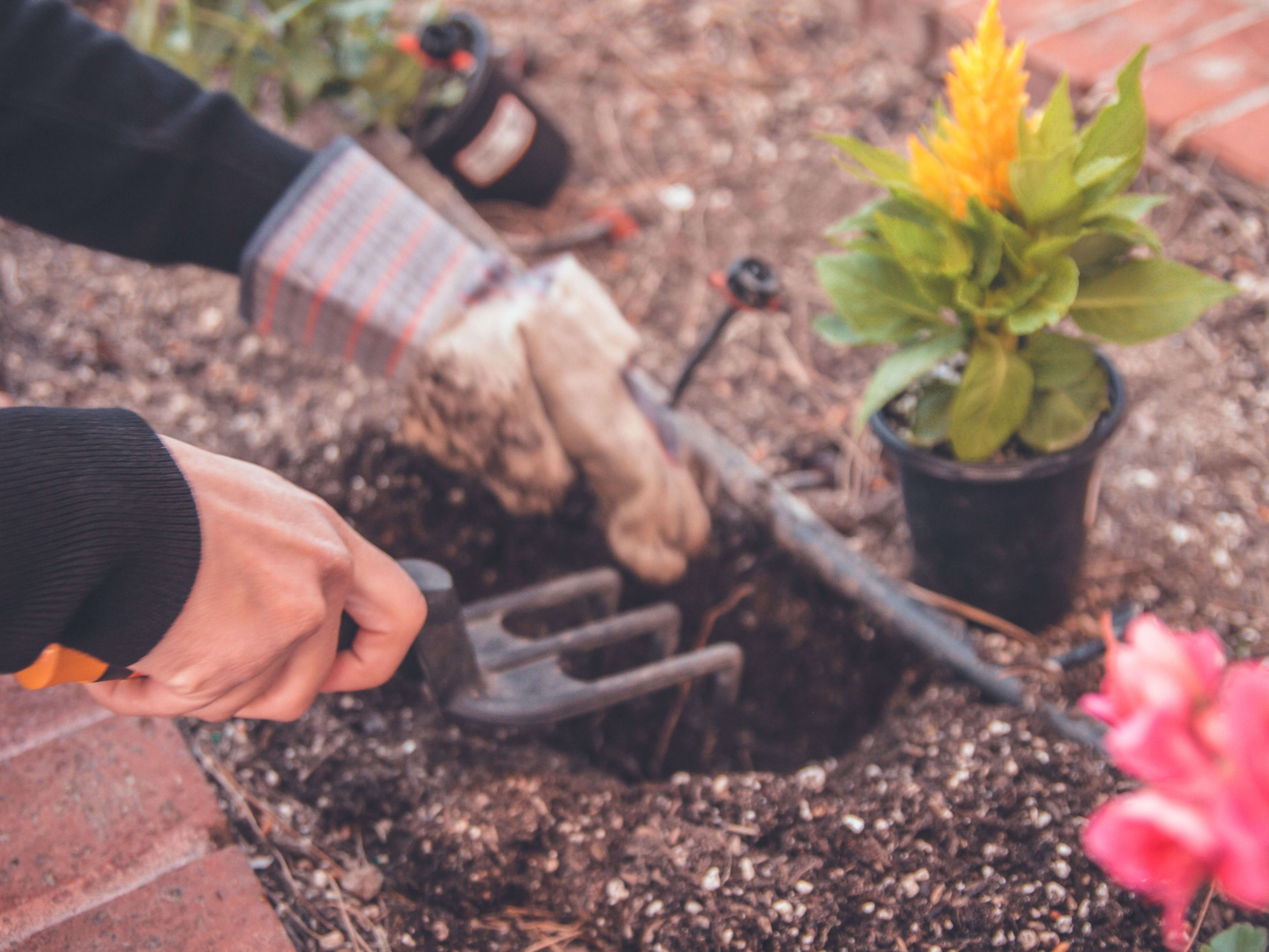 Definition and Impact of Sustainable Landscaping - Dengarden