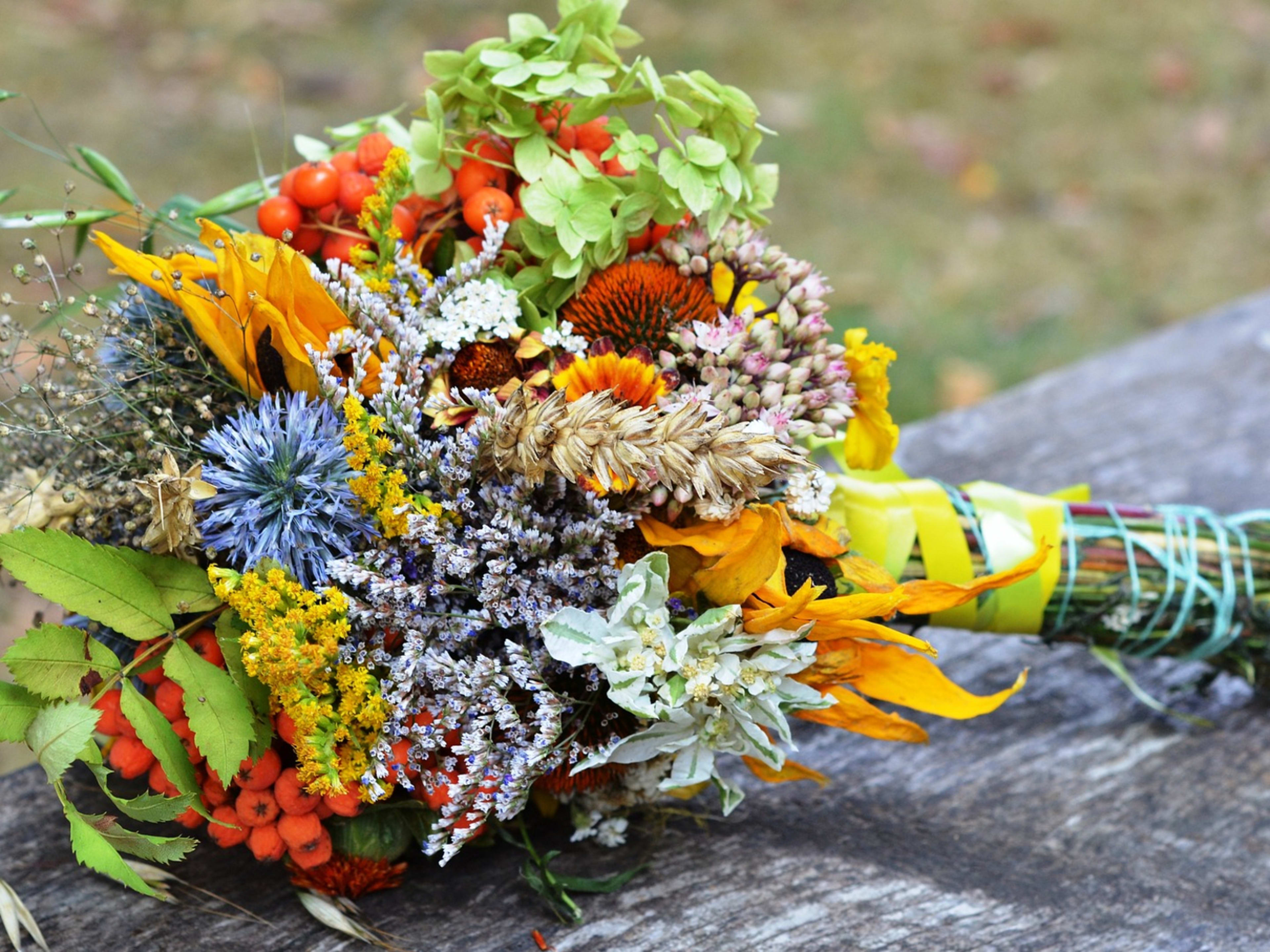 30 Flowers and Their Meanings With Pictures - Dengarden