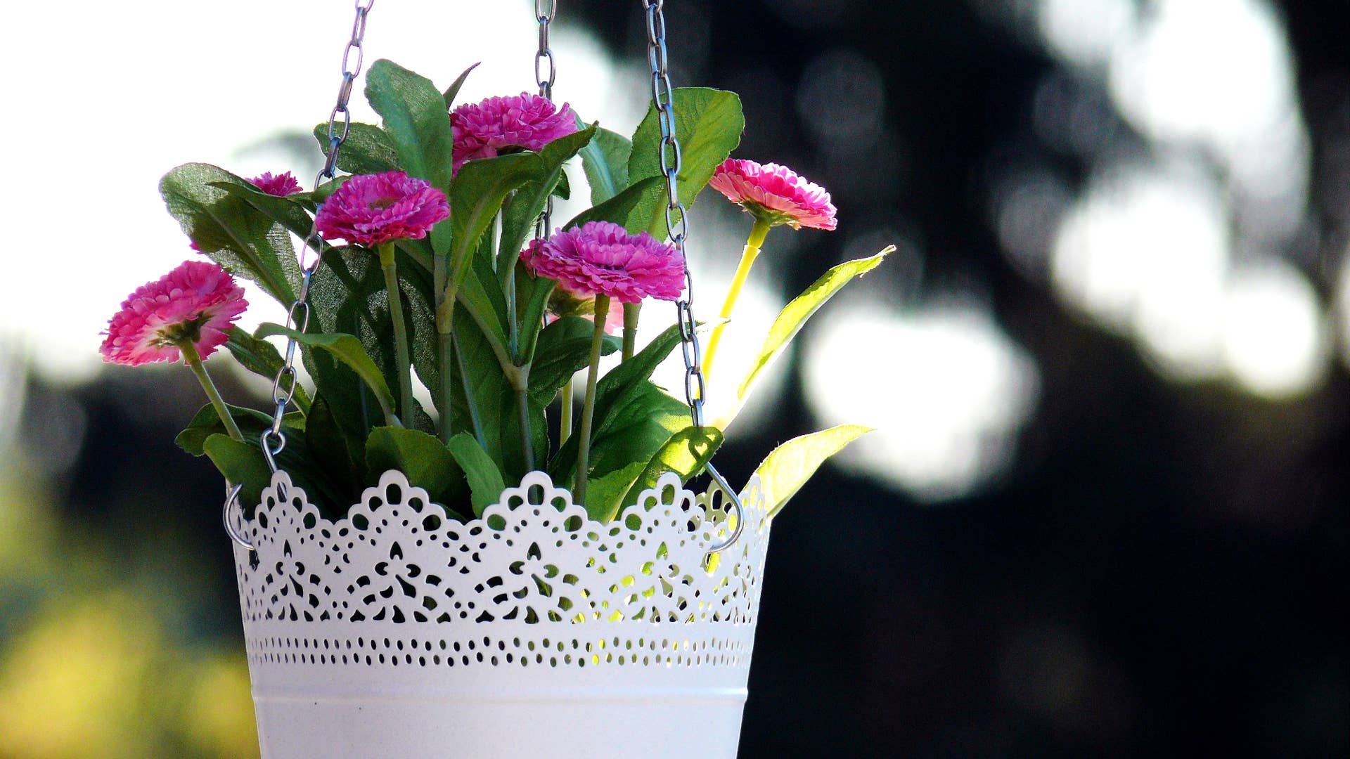 Hanging Basket Flowers: Types, Care, and Photos - Dengarden