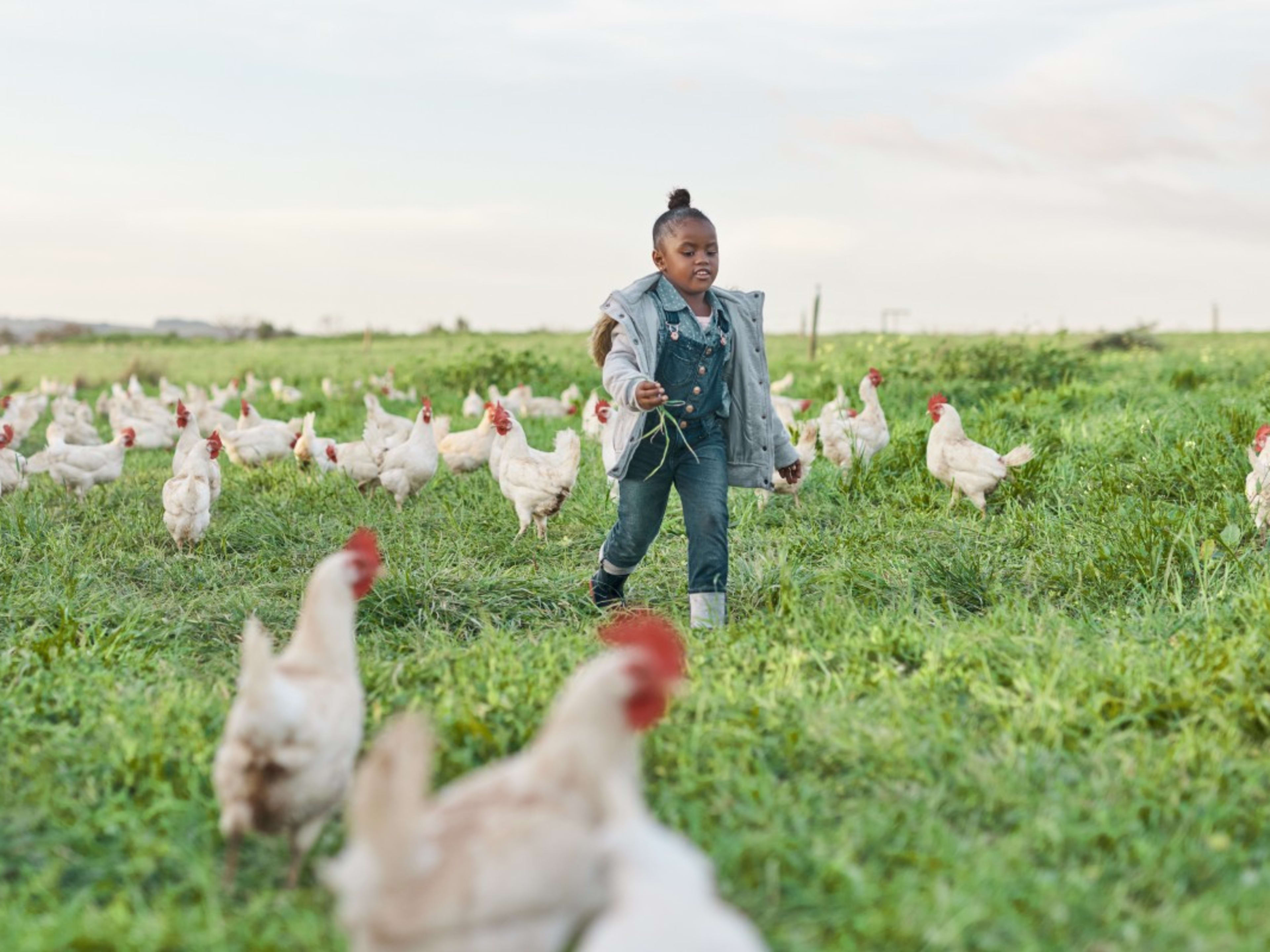 12 Easy Tricks for Keeping Predators Away From Your Garden and Flock