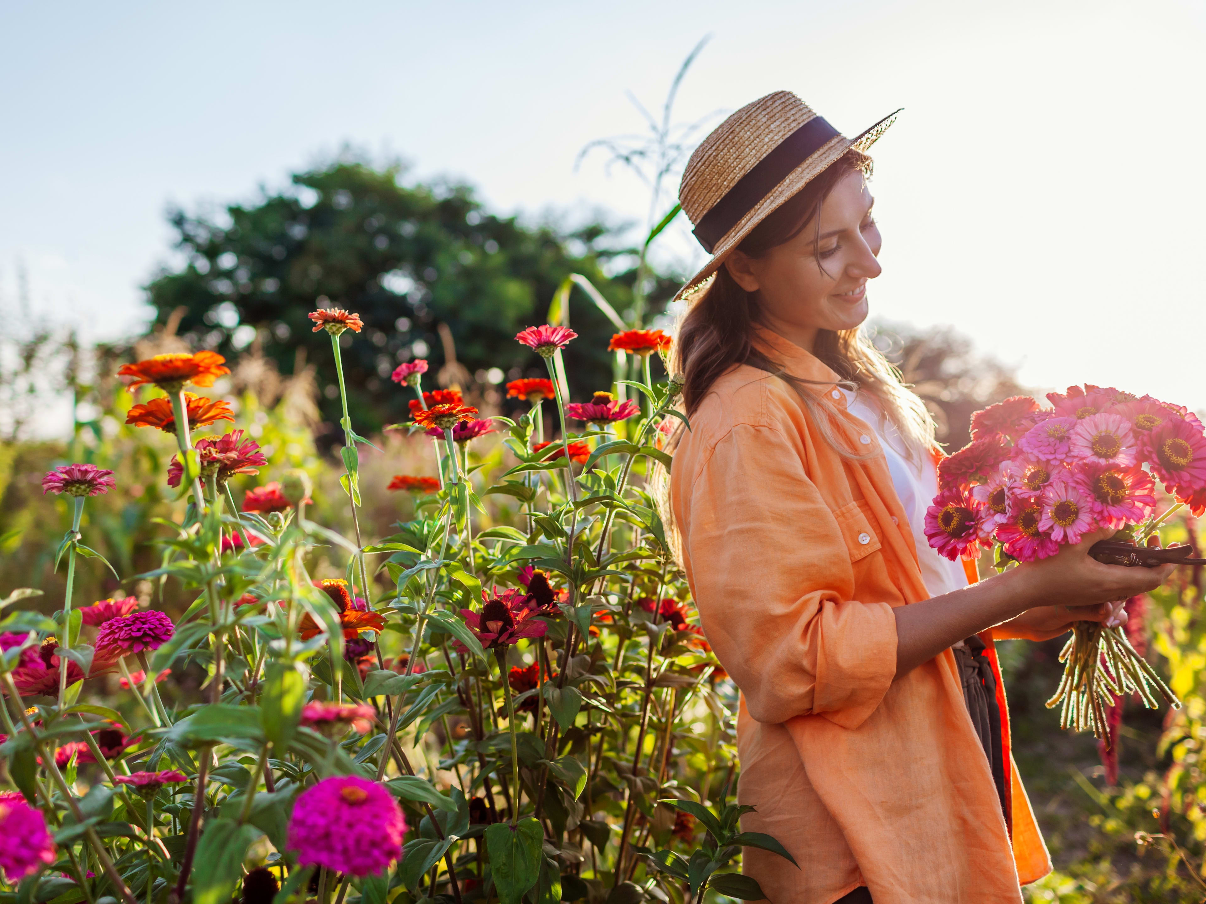 Grow These 6 Flowers for Non-Stop Blooms All Season Long - Dengarden