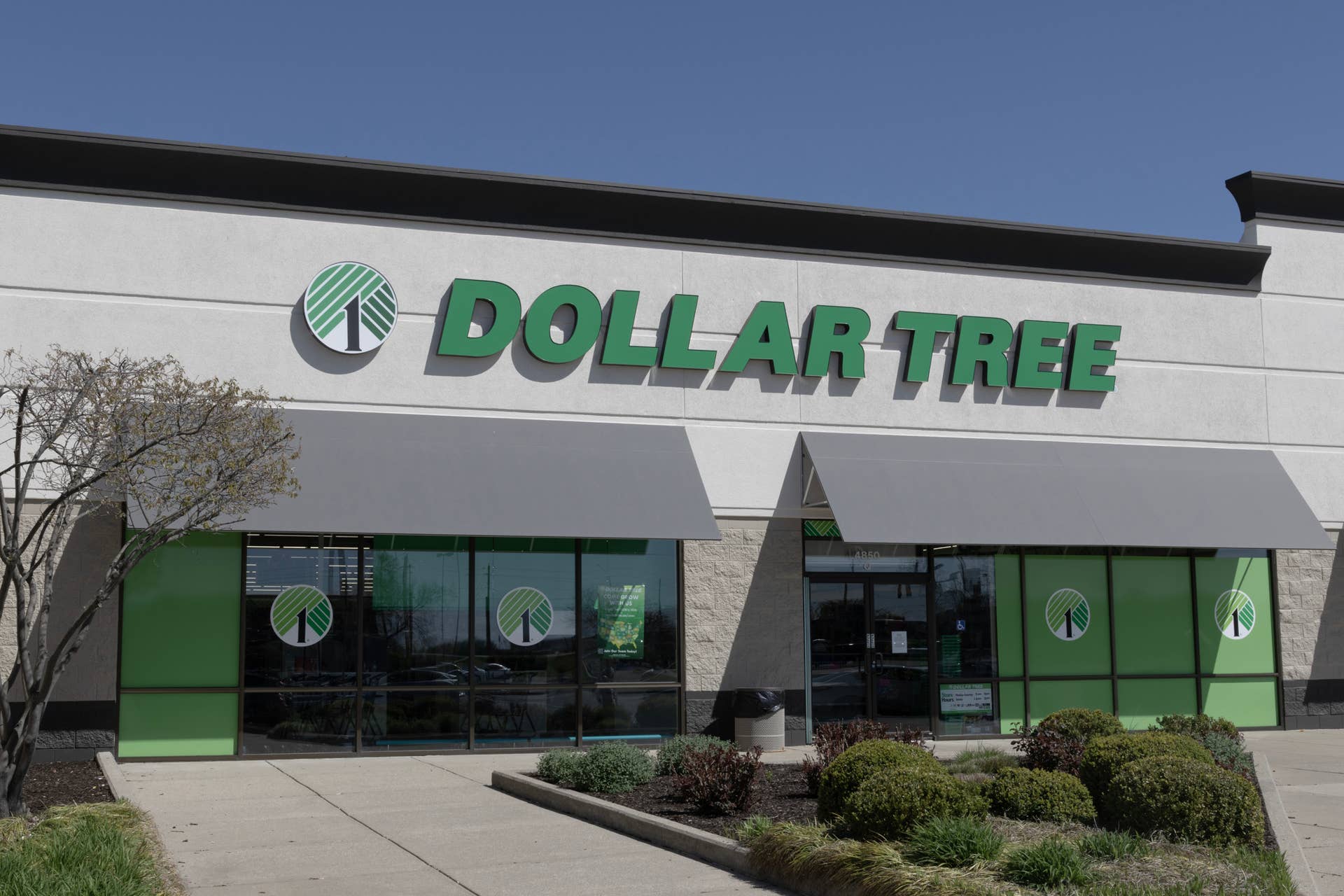‘The Deal Guy’ Just Revealed This Month’s Must-Have Dollar Tree Home Buys