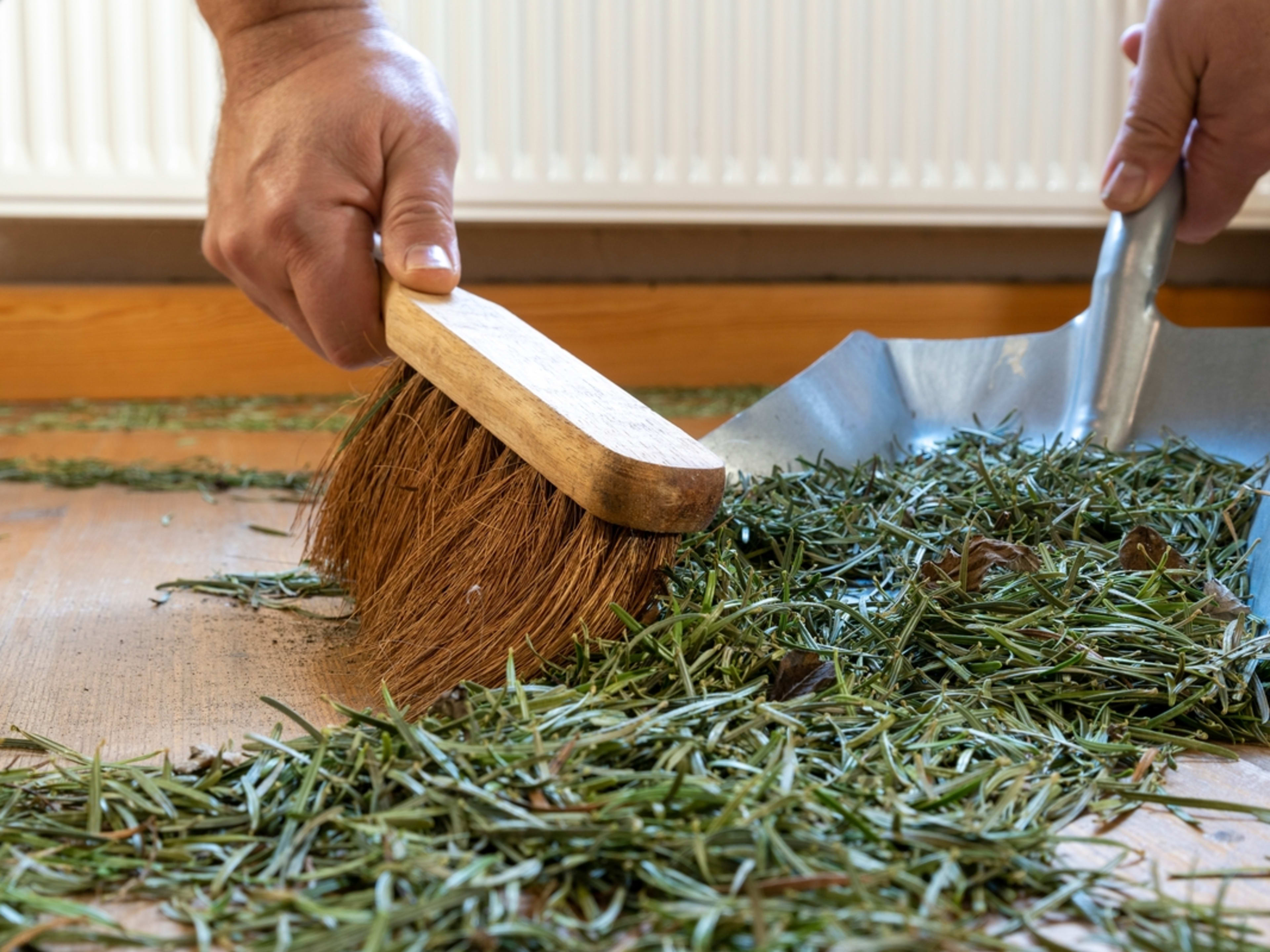Before You Throw Out Your Old Christmas Tree, Make This All-Natural ...