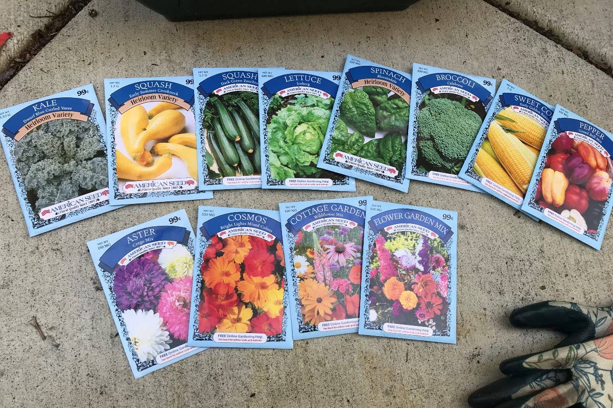 Master Gardener Gives the Lowdown on Which Dollar Tree Gardening ...