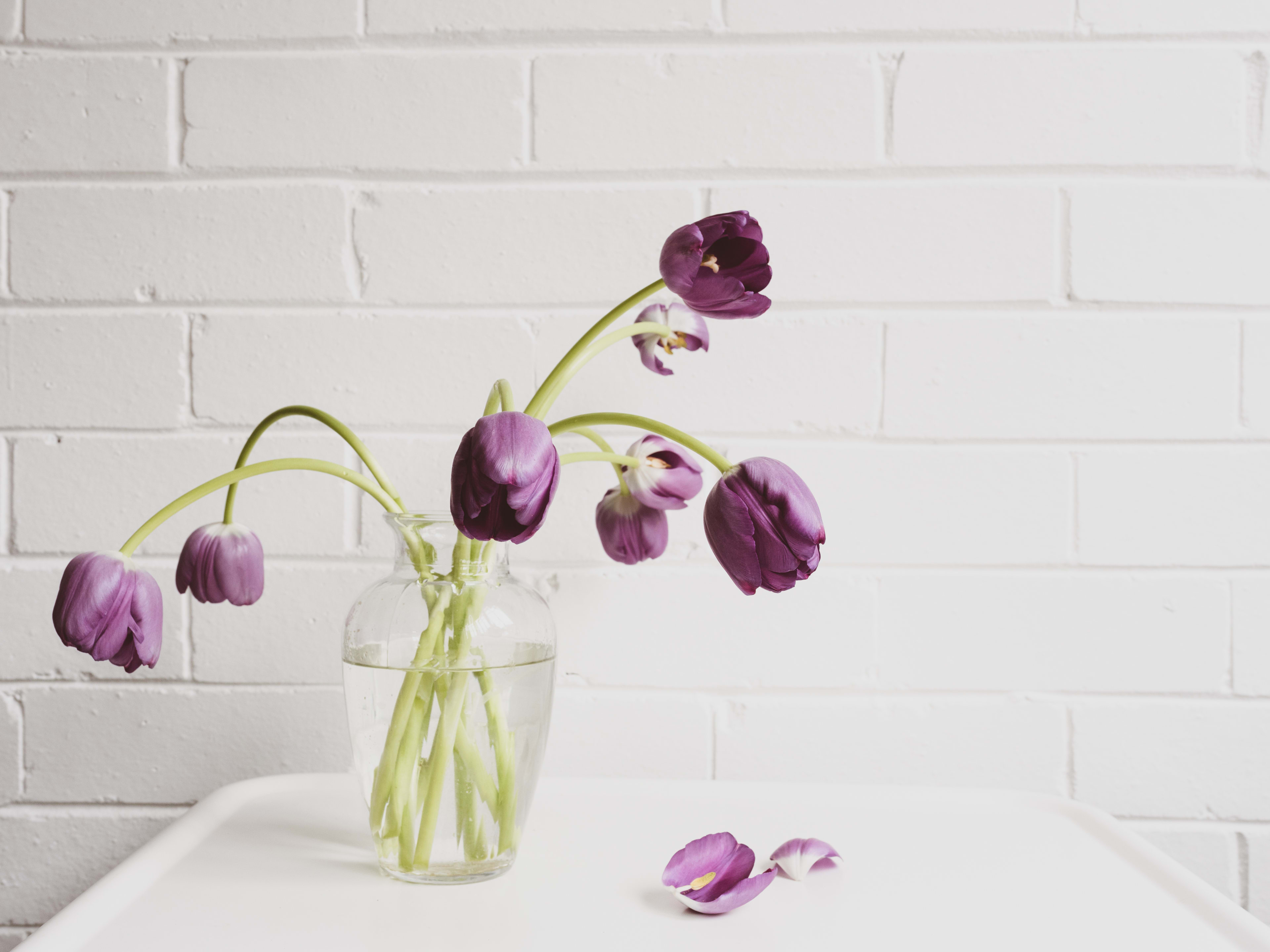 Want to Stop Your Tulips From Drooping? Try This Simple Hack - Dengarden