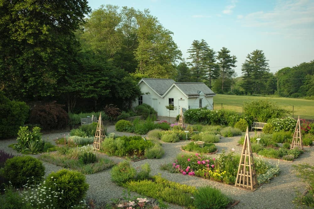 People On TikTok Are Obsessed With This Woman's Spring Garden