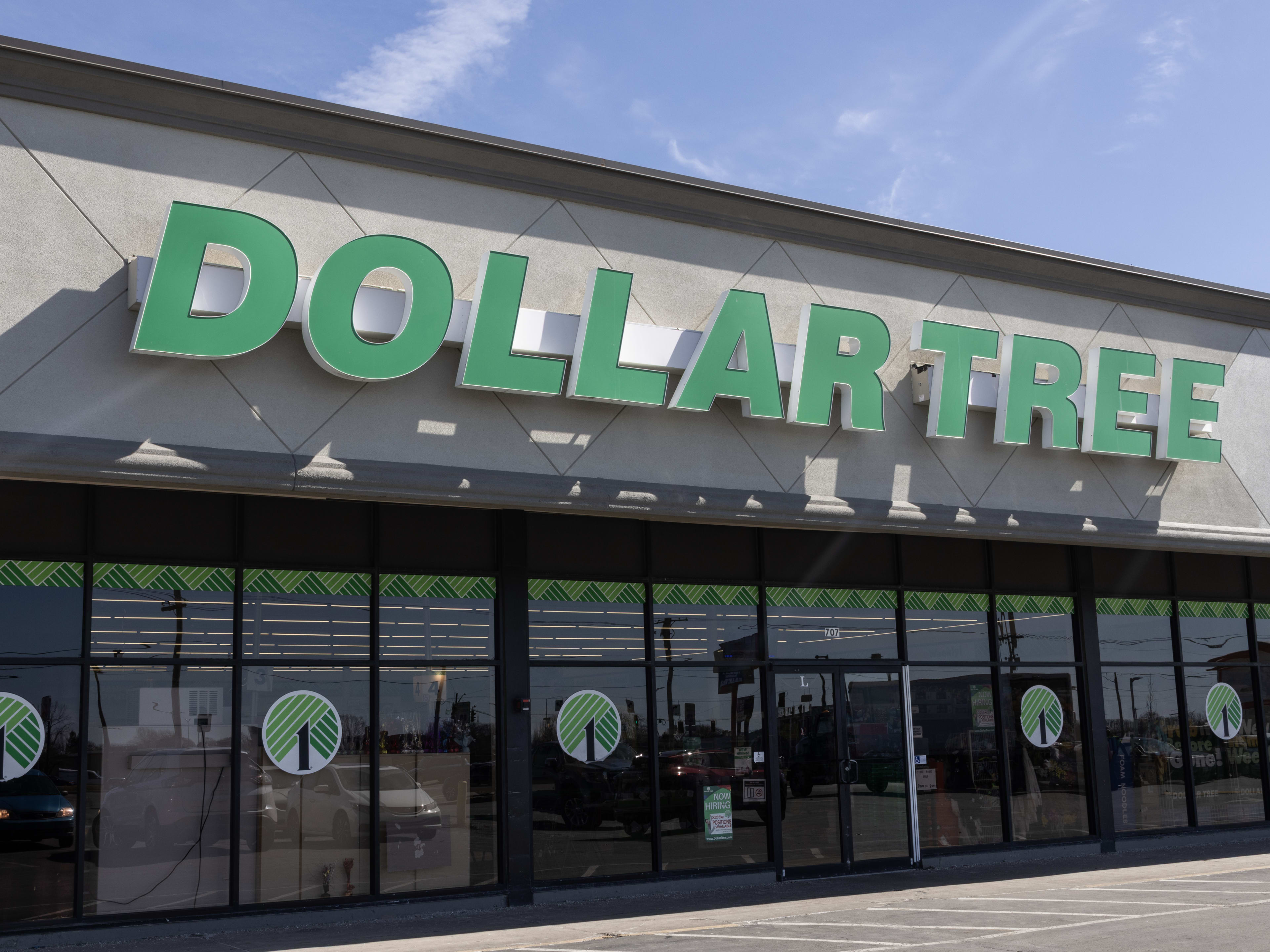 Dollar Tree's New Home Organizers Will Change The Game
