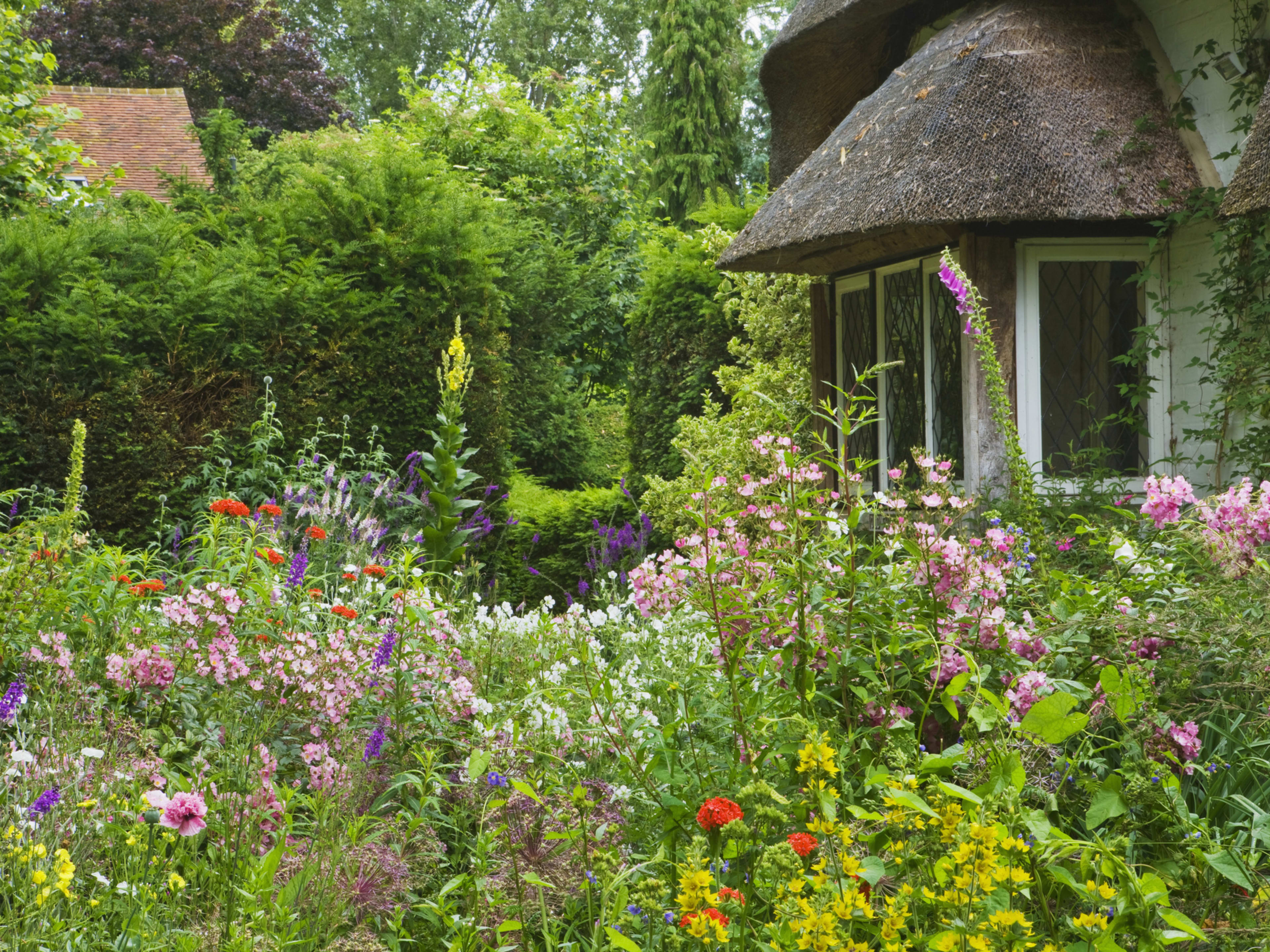 What Is a Cottage Garden? - Dengarden