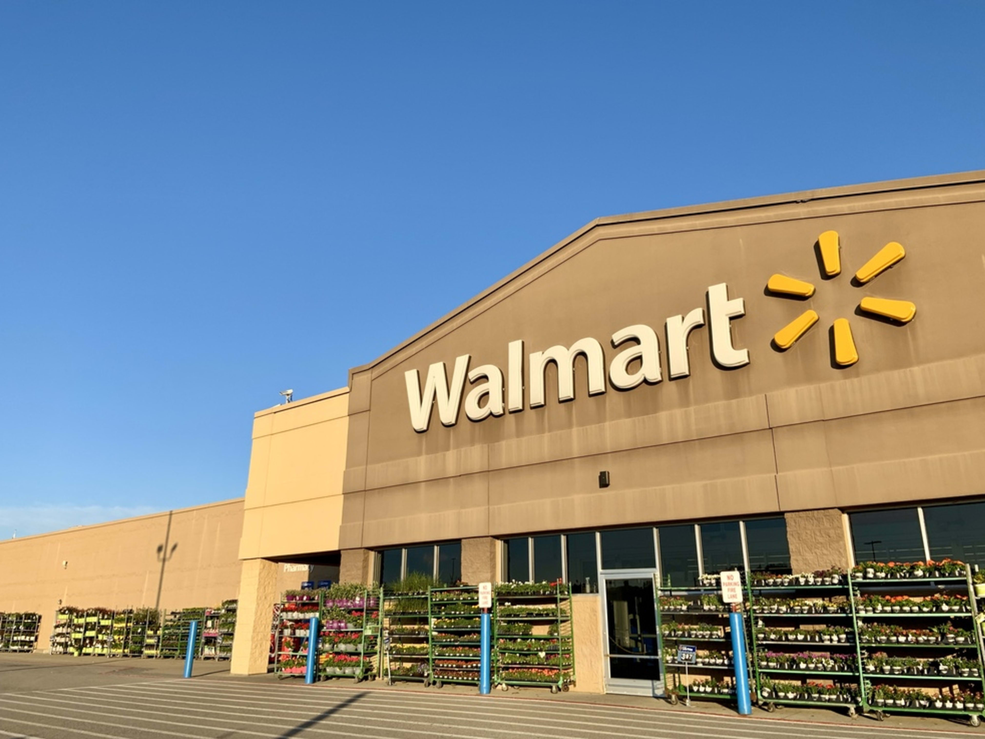 Make Pesky Weeds Disappear with This Handy Walmart Yard Tool - Dengarden