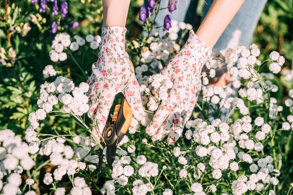Tips and How-Tos for Planting Flower Gardens