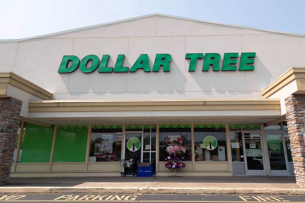 4 Must-Have Dollar Tree Finds That Make Saving Space Easy - Dengarden