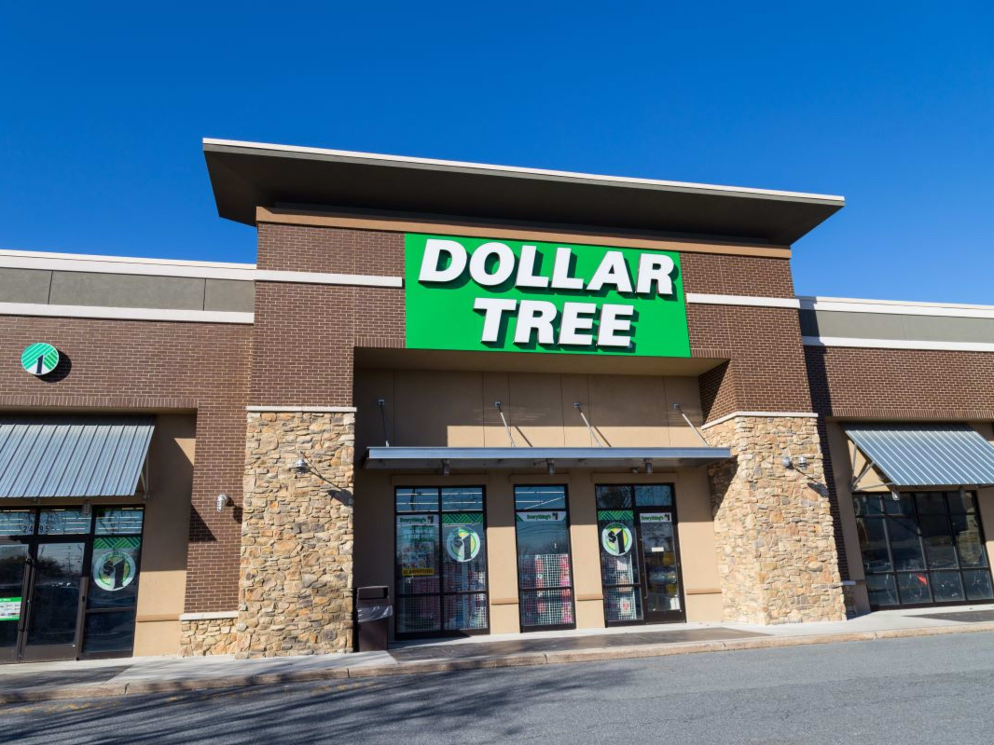 Shoppers Are Thrilled With Dollar Tree's New Bee Plates - Dengarden