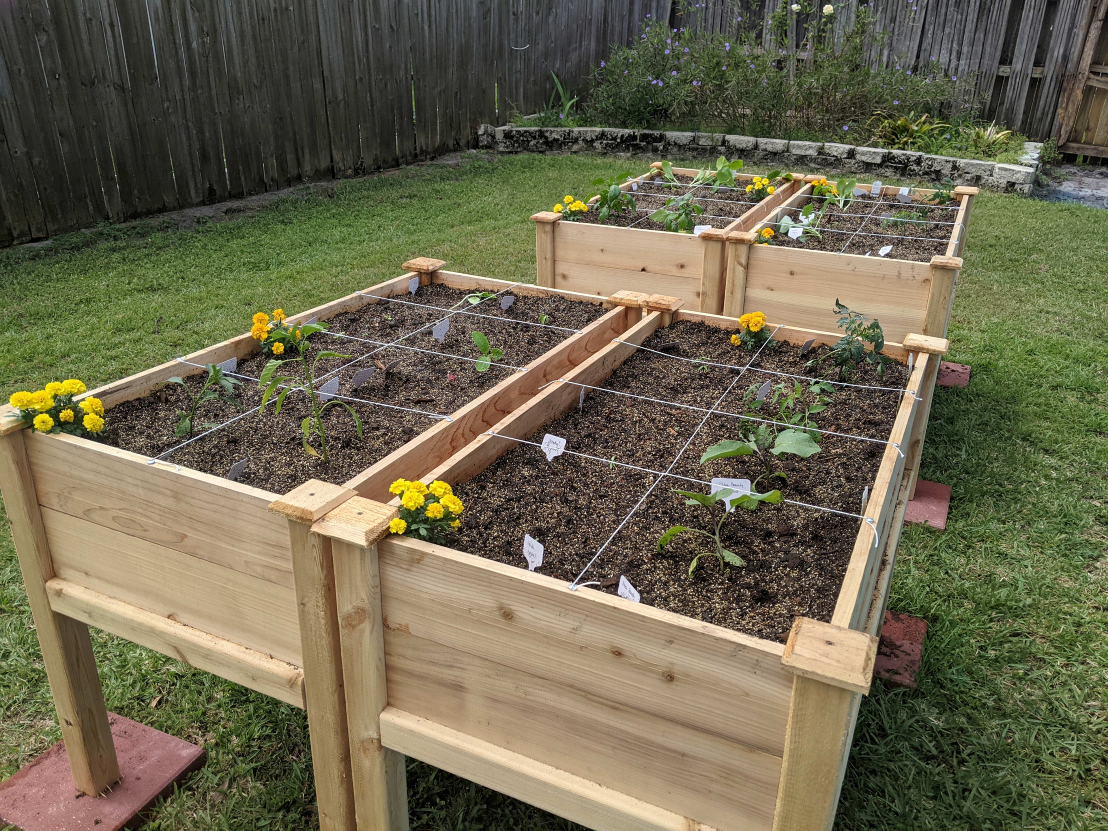 Square-Foot Gardening 101 - Dengarden