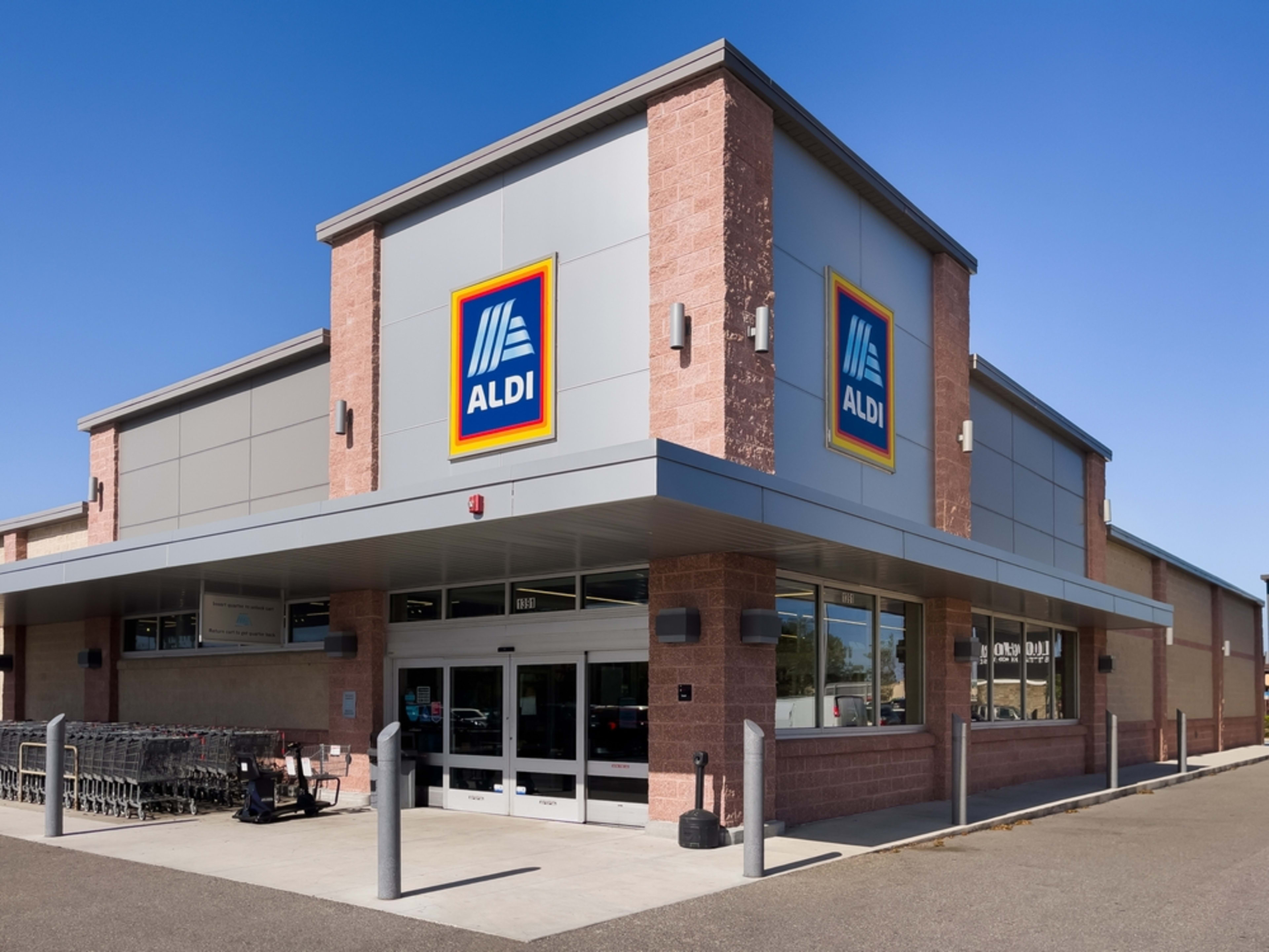 Aldi Brings Fall Vibes Early With the Arrival of Mums in Stores - Dengarden