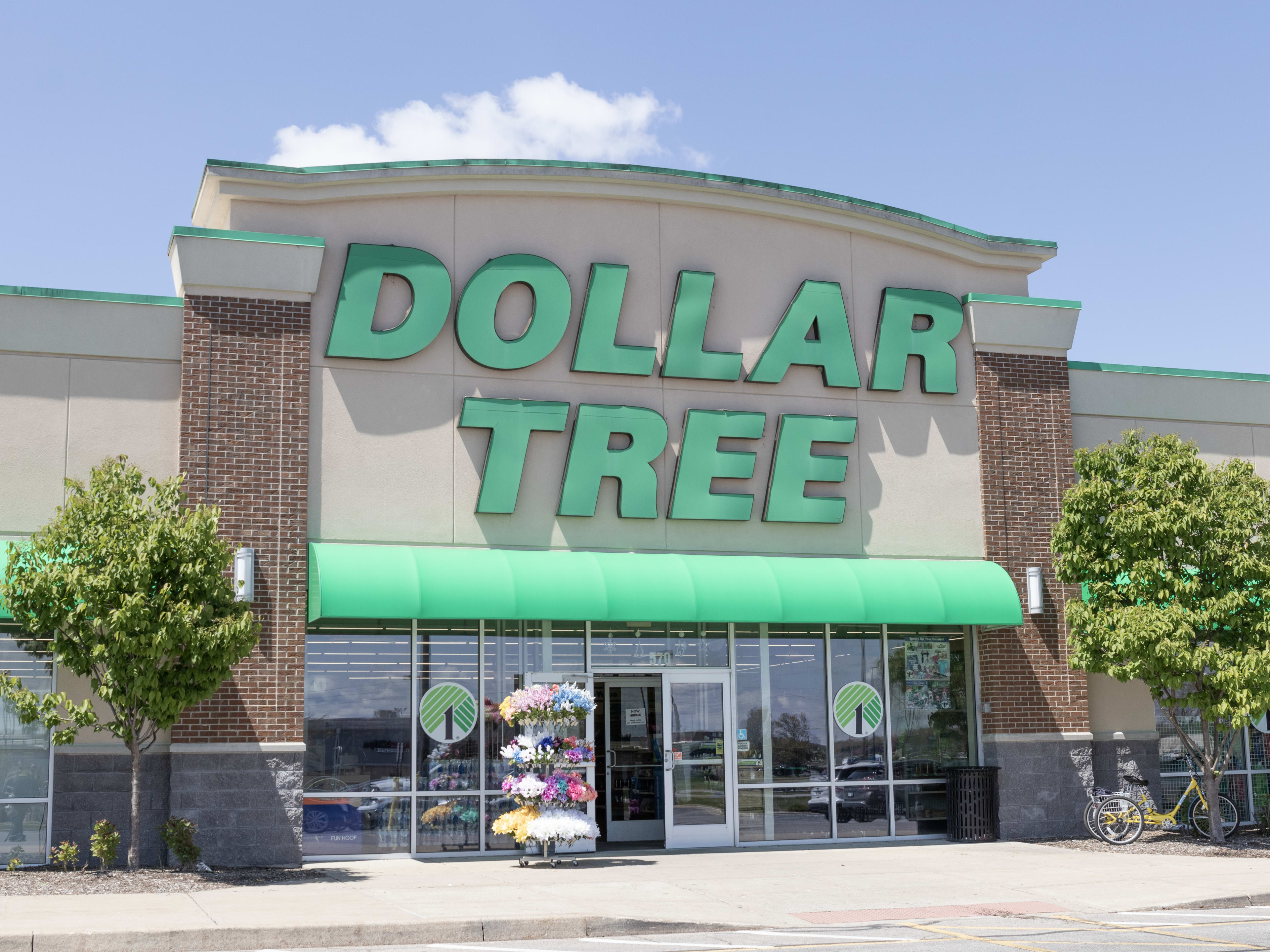 Dollar Tree's Latest Organization Items Are Game Changers - Dengarden