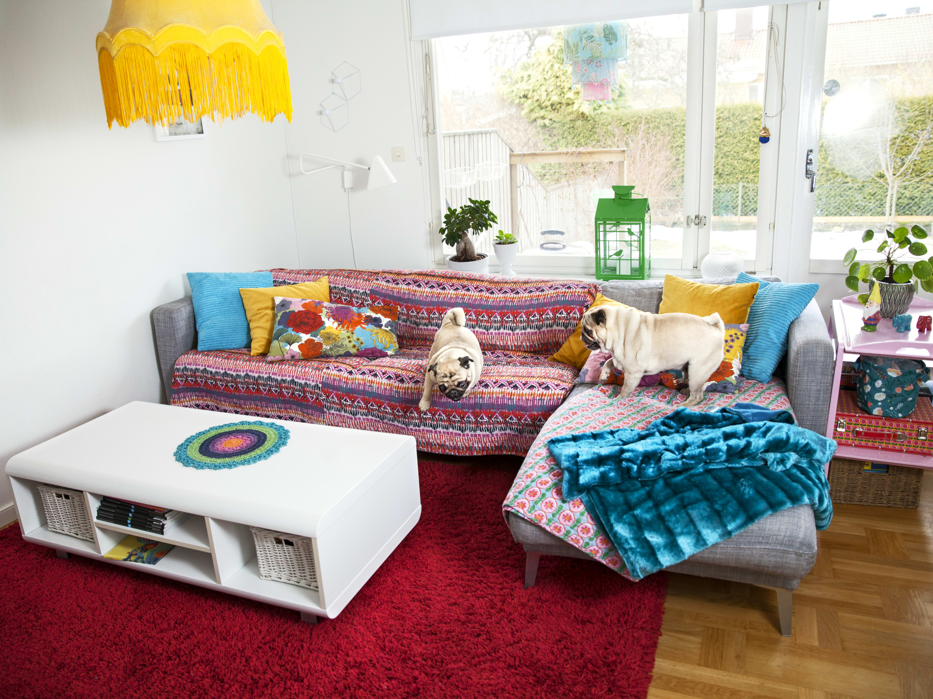 Maximalists Will Love This 4-Ingredient Dopamine Home Recipe - Dengarden