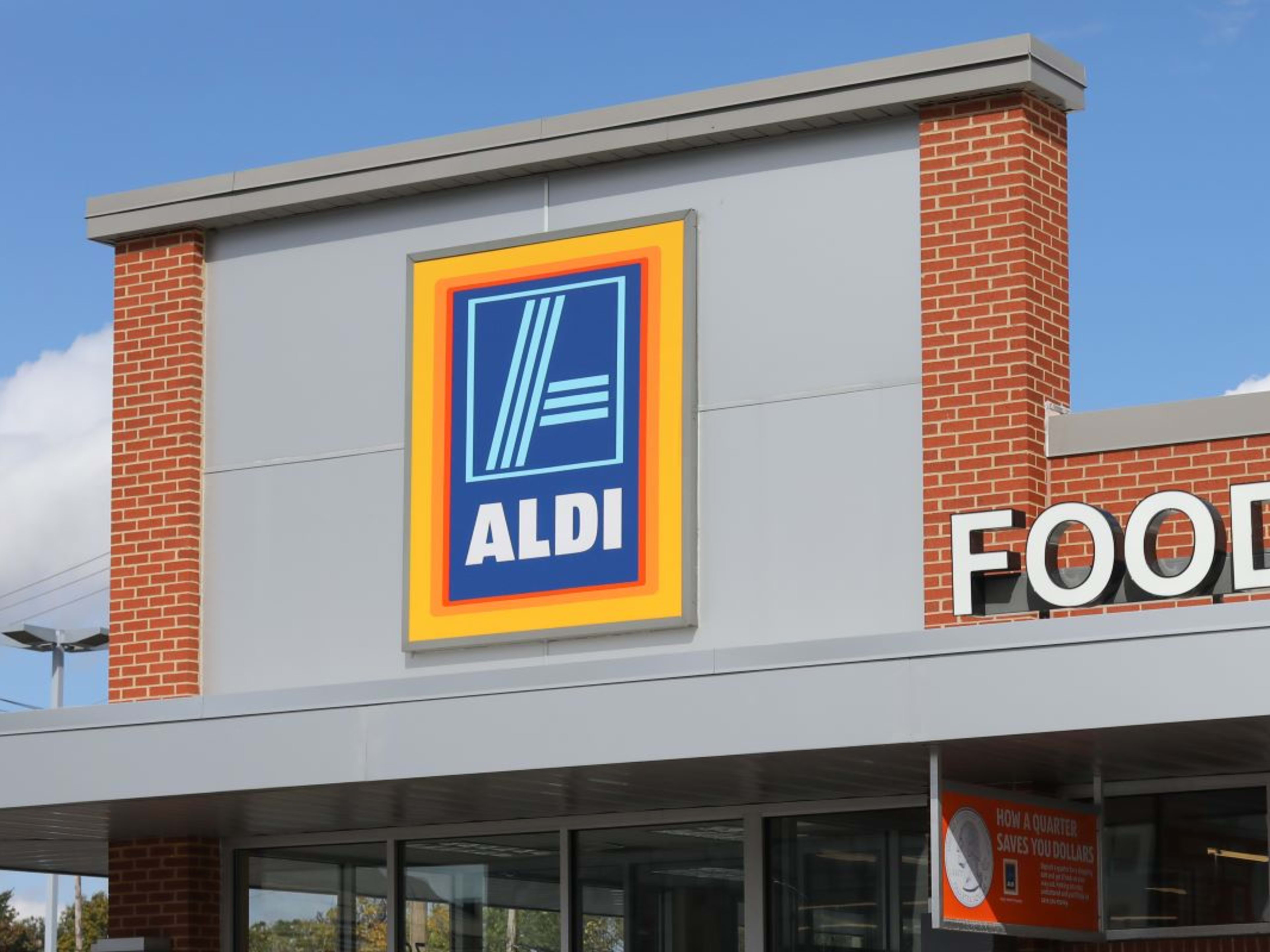 Aldi Is Bringing This Low-Maintenance Plant to Stores Next Week - Dengarden