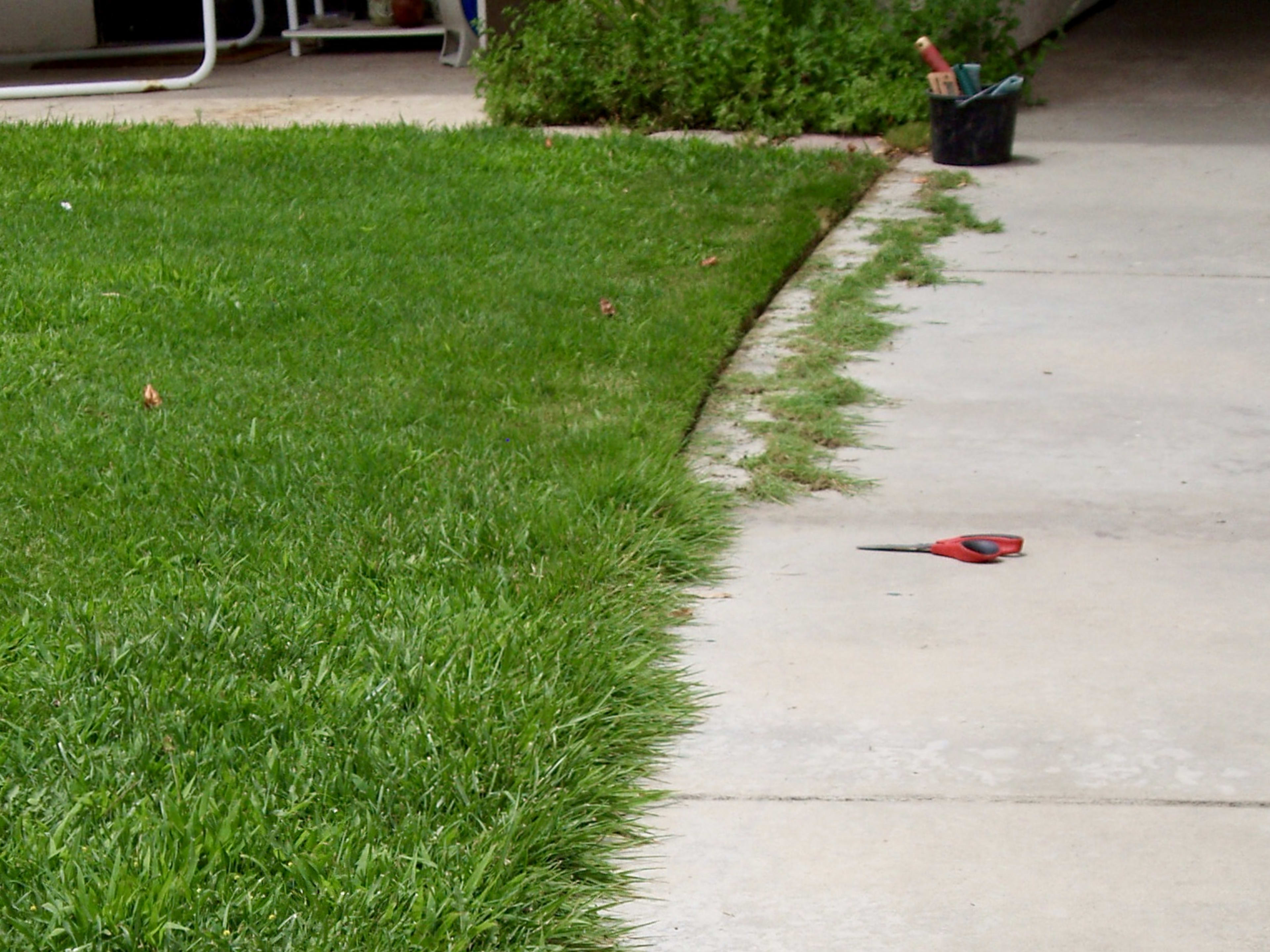 Lawn Edging: A Small Detail With a Big Impact - Dengarden