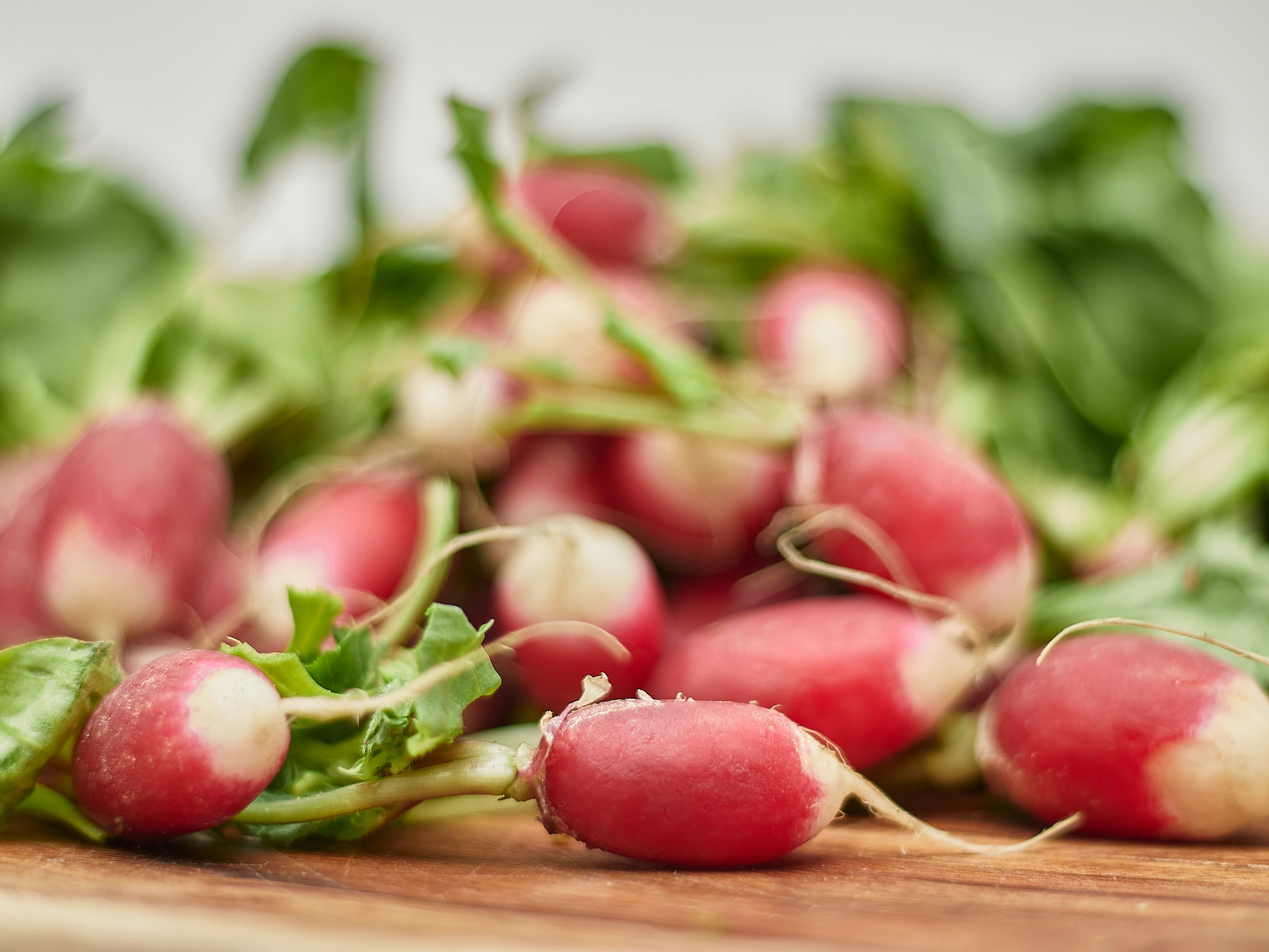 When To Harvest Radishes - Dengarden