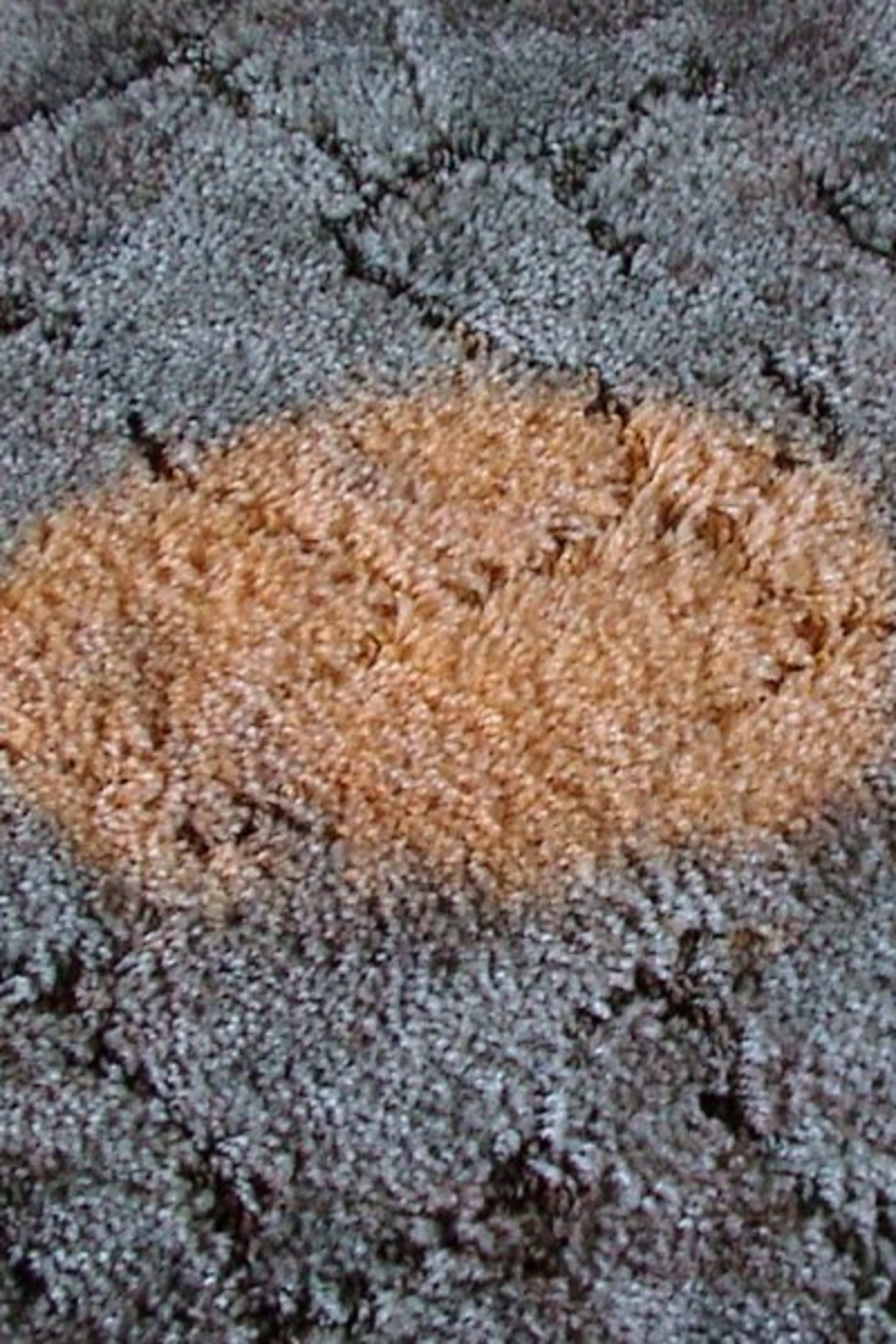 Carpet & Rug Cleaning Tips and How-Tos