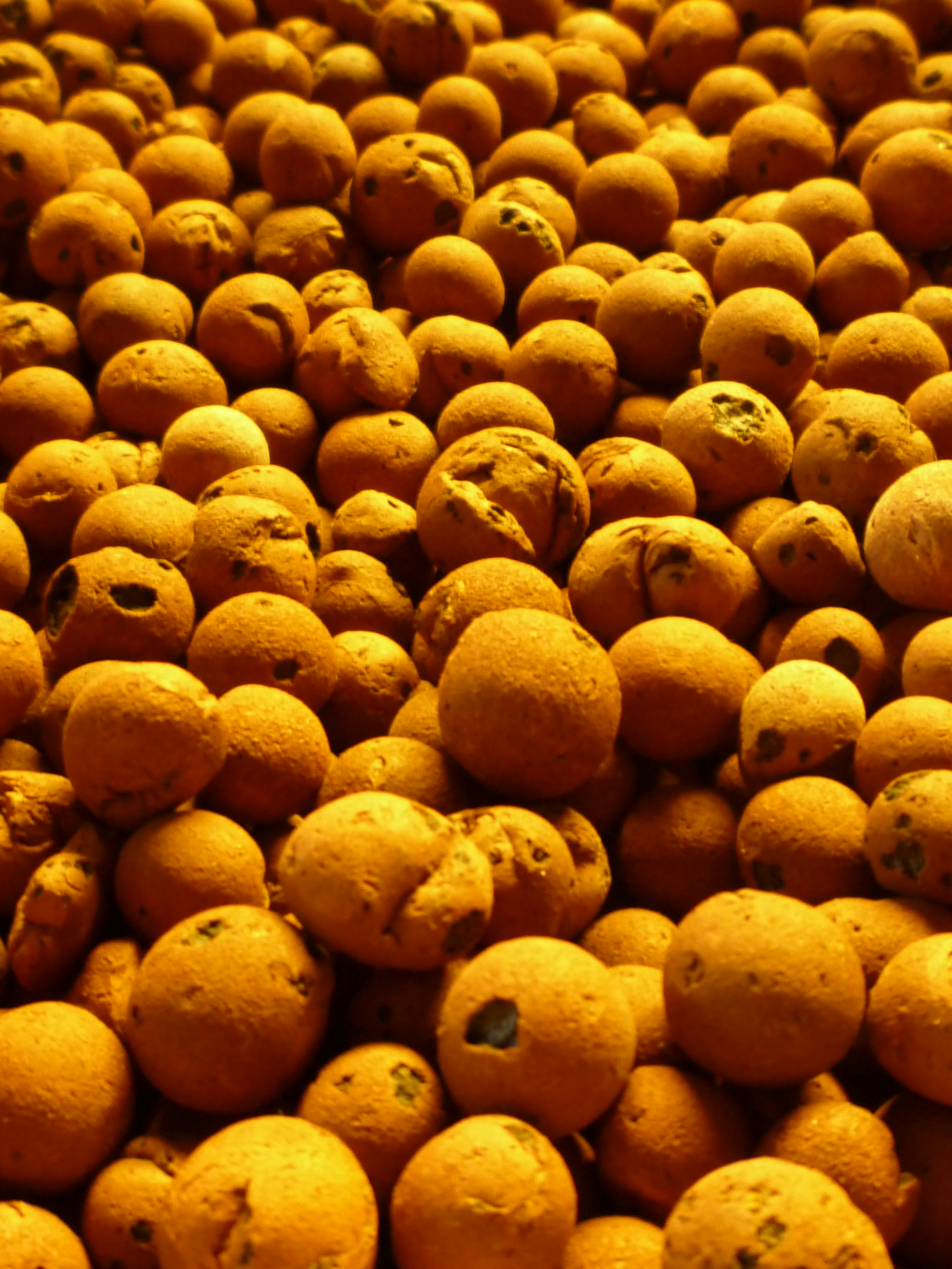 What Is Hydroton? A Versatile Plant-Growing Medium - Dengarden